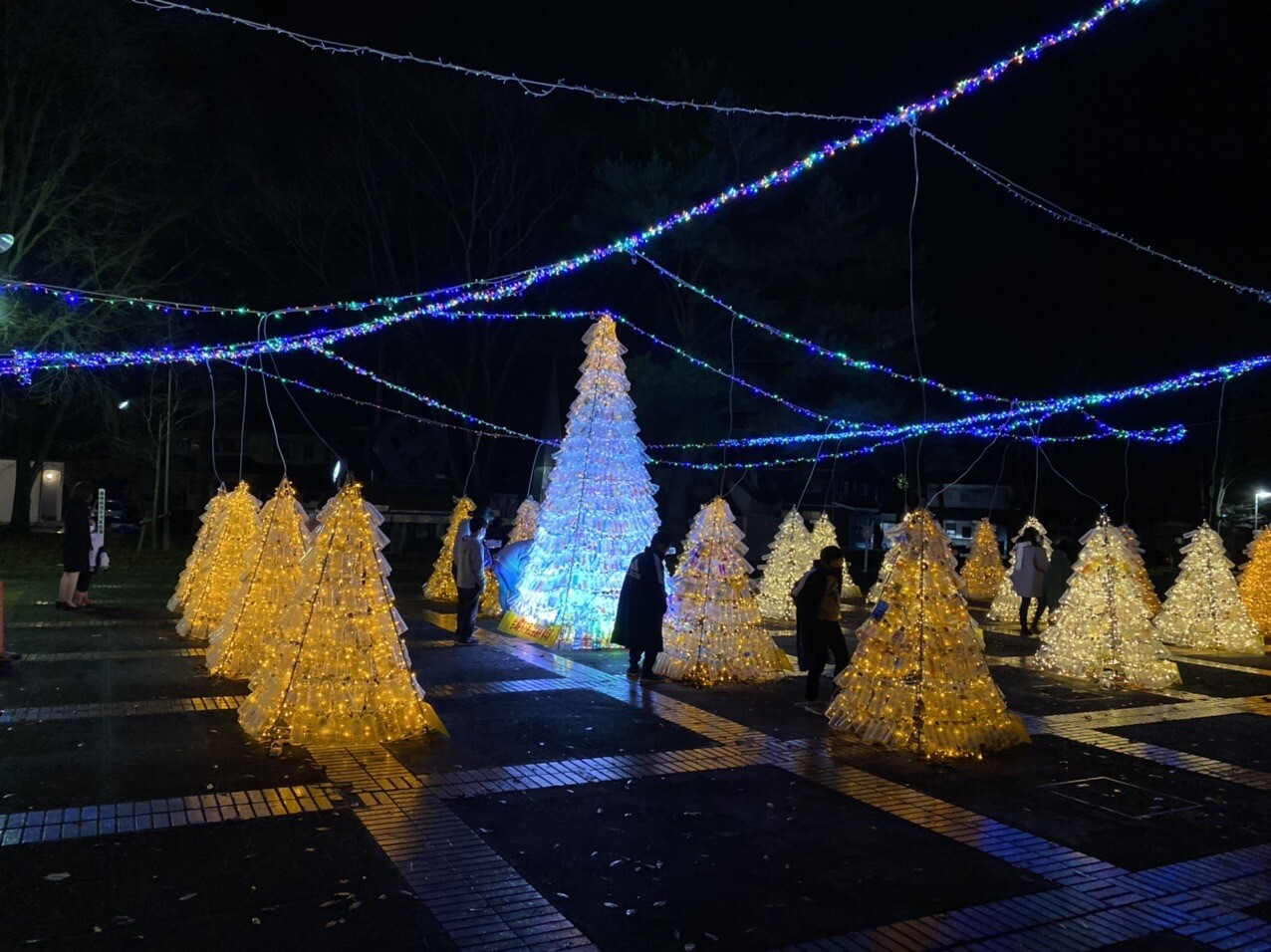 小学生の願い事入り💖 ペットボトル・イ... / zuko@さんのモーメント | YAMAP / ヤマップ