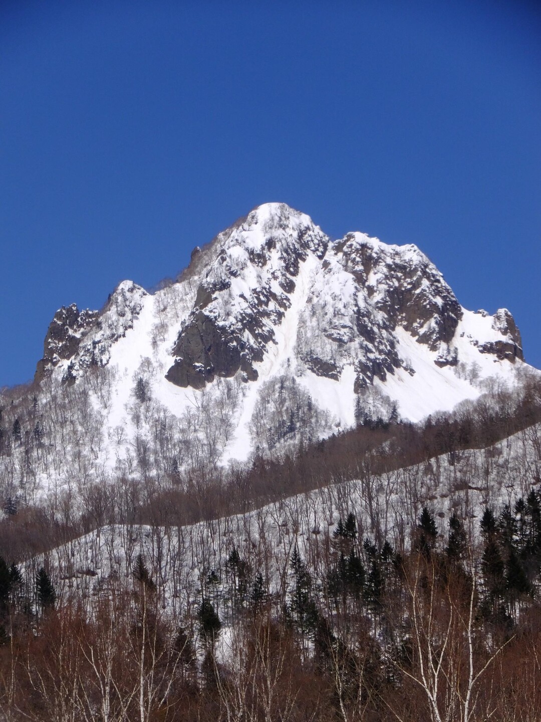 定山渓天狗岳BC～ついに本峰ピークから中央ルンゼ滑降！PEAK TO BOTTOM！ / TARIさんの余市岳・定山渓天狗岳の活動データ | YAMAP / ヤマップ