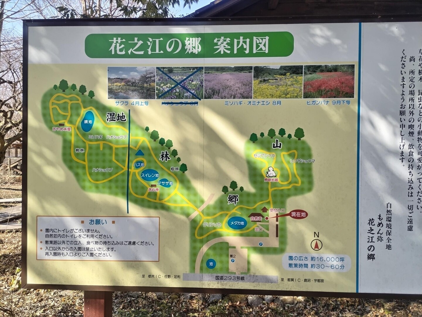 栃木市にある花之江の郷を散策しました。 ... / showさんのモーメント | YAMAP / ヤマップ