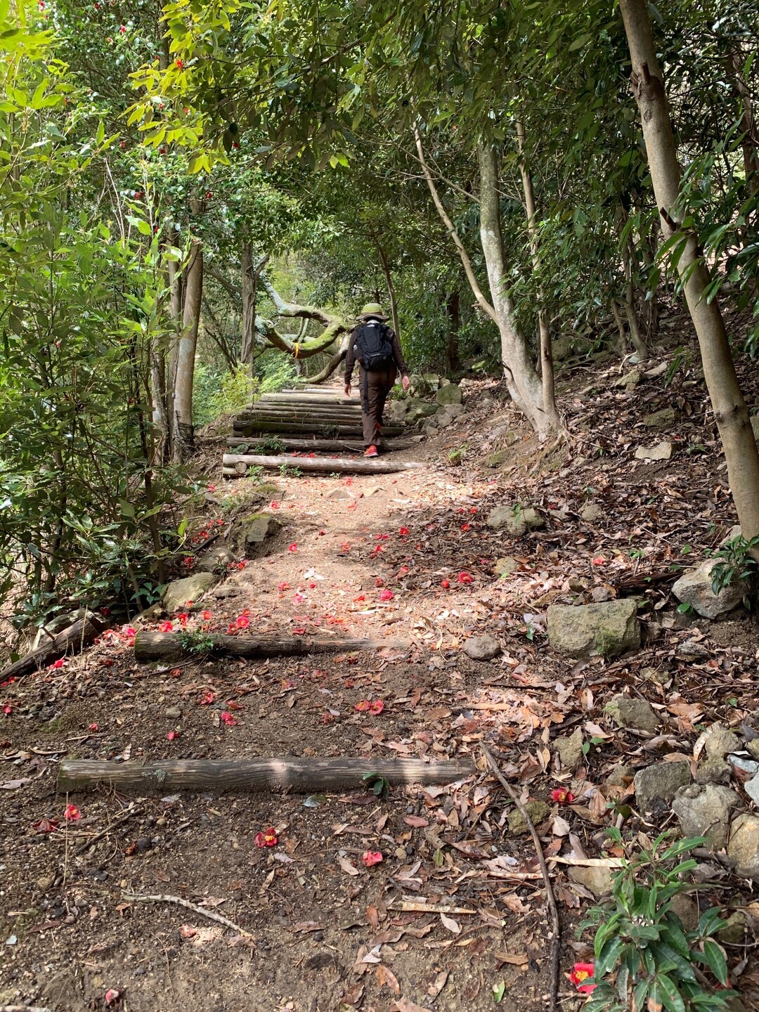 城山からの熊山 / kinocoさんの熊山・高津山・尺八山の活動データ | YAMAP / ヤマップ