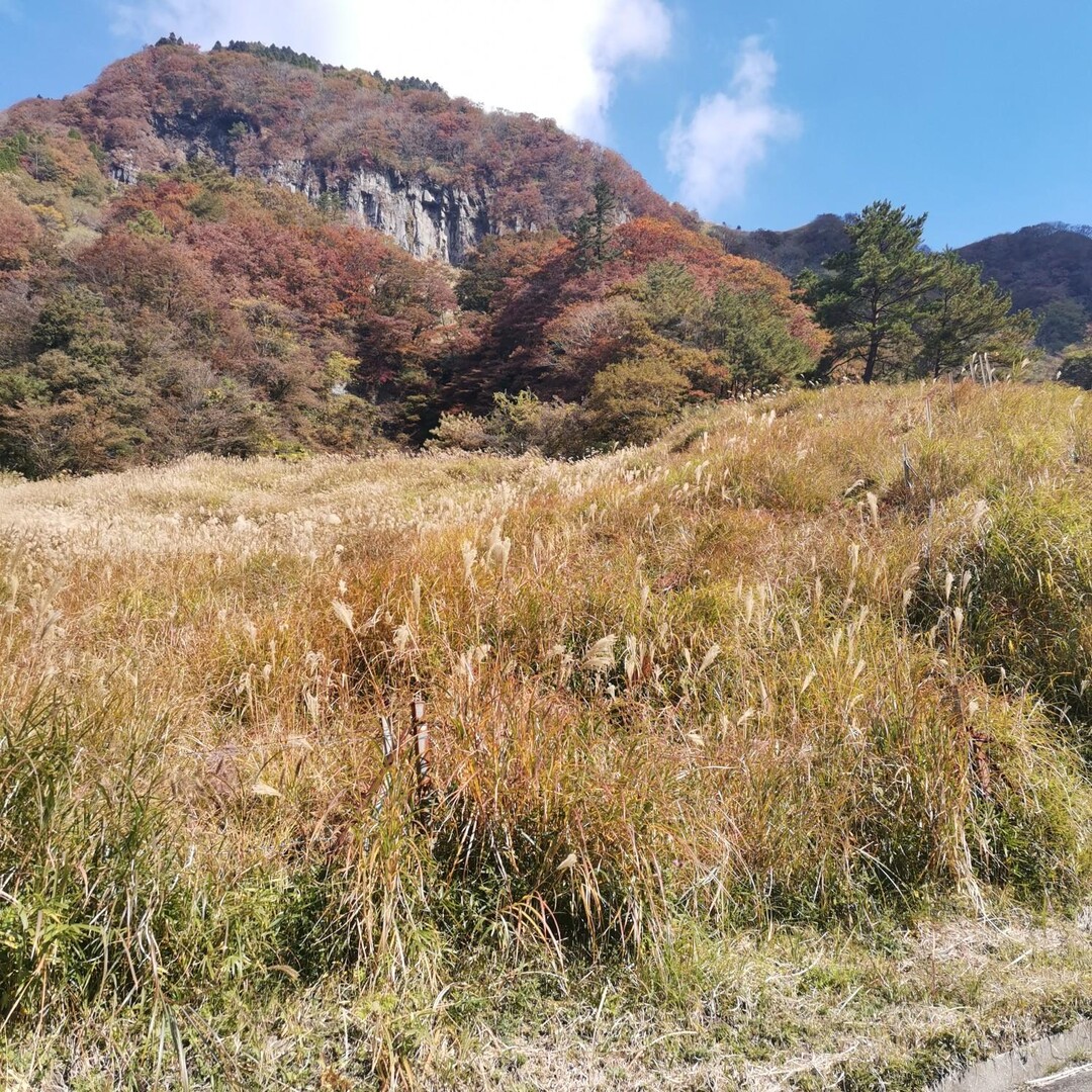 kokiさんの投稿したフィールドメモ | YAMAP / ヤマップ