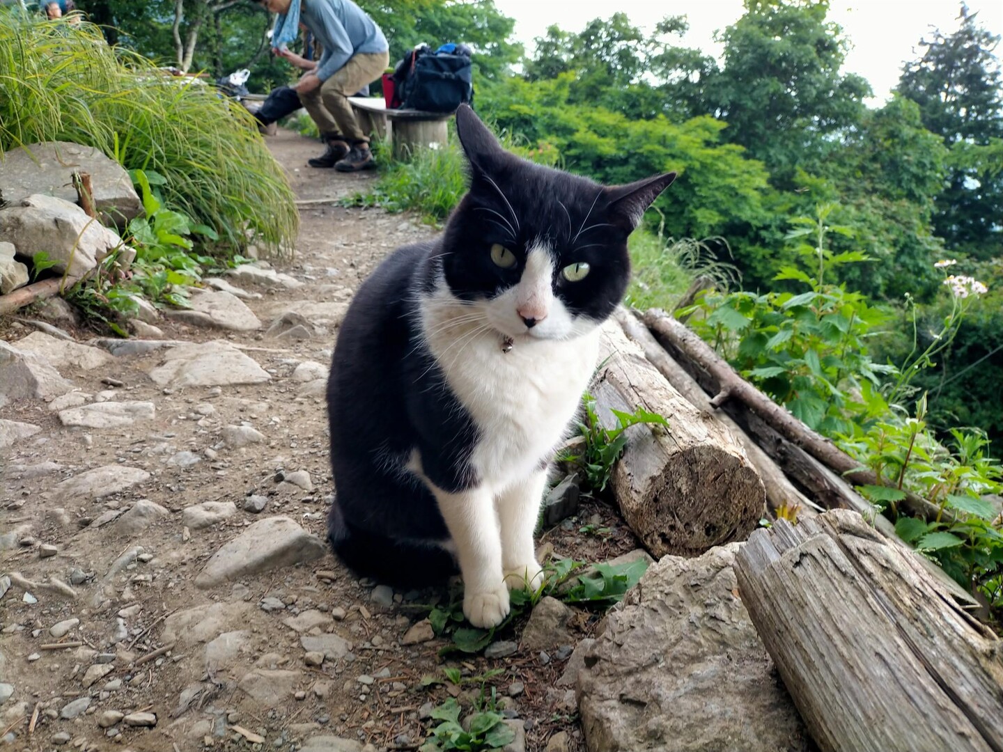 雲取山 / rag-masaさんの雲取山・鷹ノ巣山・七ツ石山の活動データ | YAMAP / ヤマップ