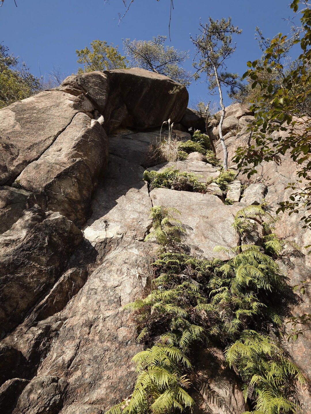 ロックガーデン巡り / はじめさんの六甲山・長峰山・摩耶山の活動データ | YAMAP / ヤマップ