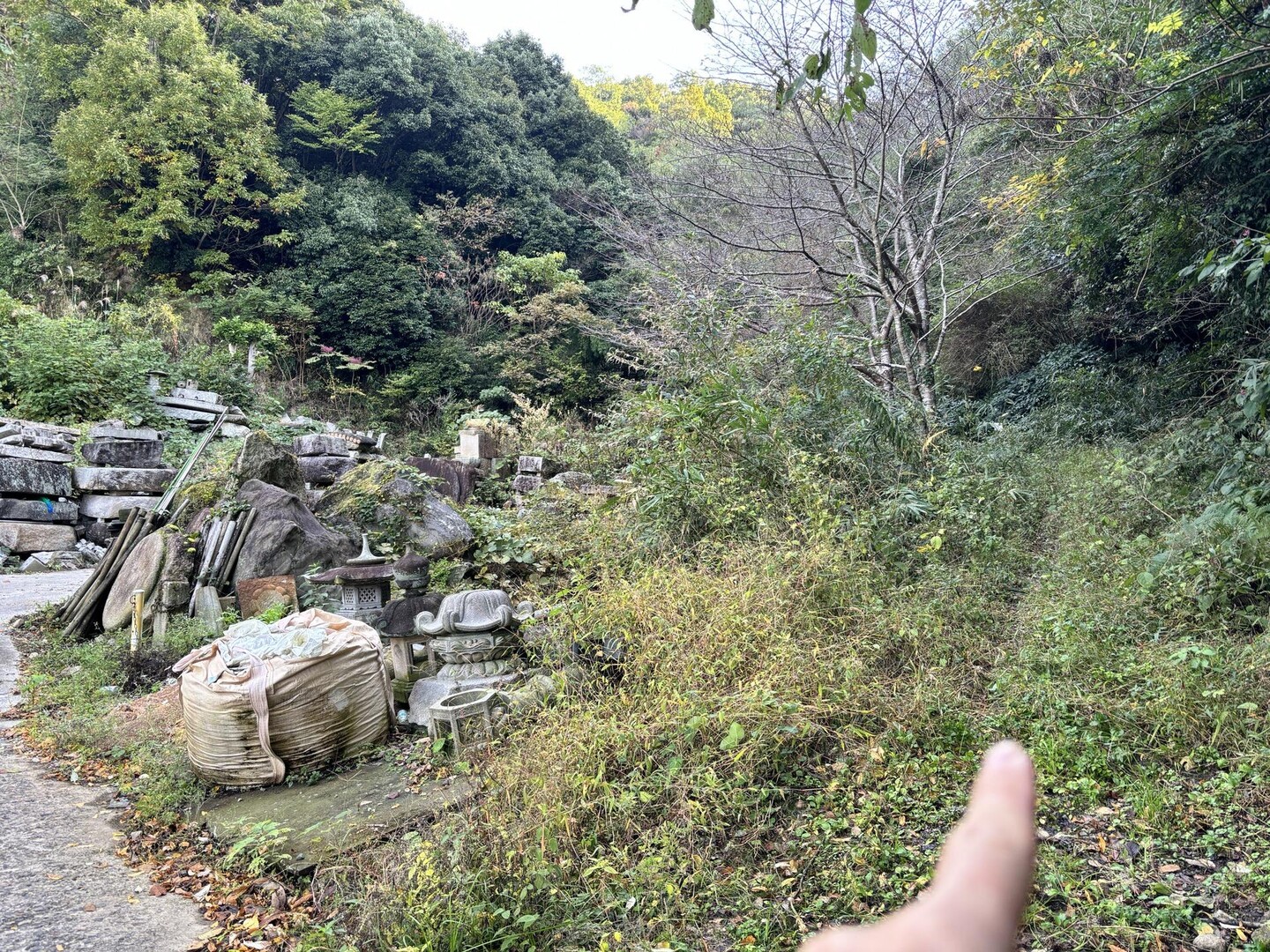 nonpui(ノンプイ)さんの投稿したフィールドメモ | YAMAP / ヤマップ