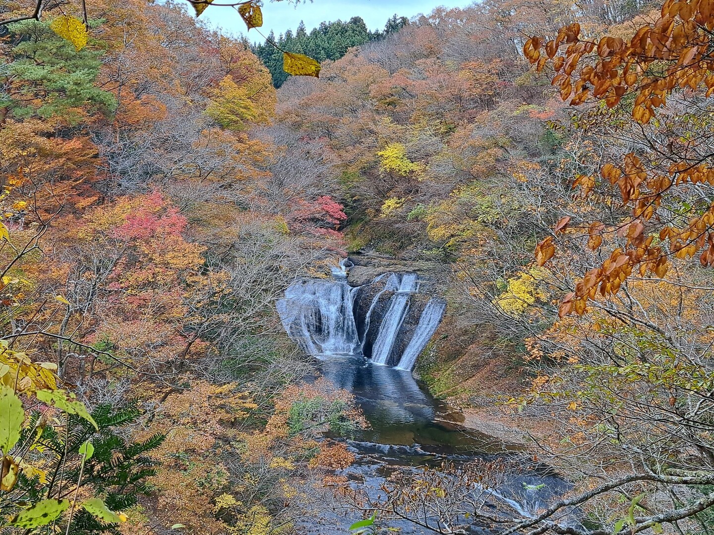 月居山 / Megさんの生瀬富士・大子アルプスの活動データ | YAMAP / ヤマップ