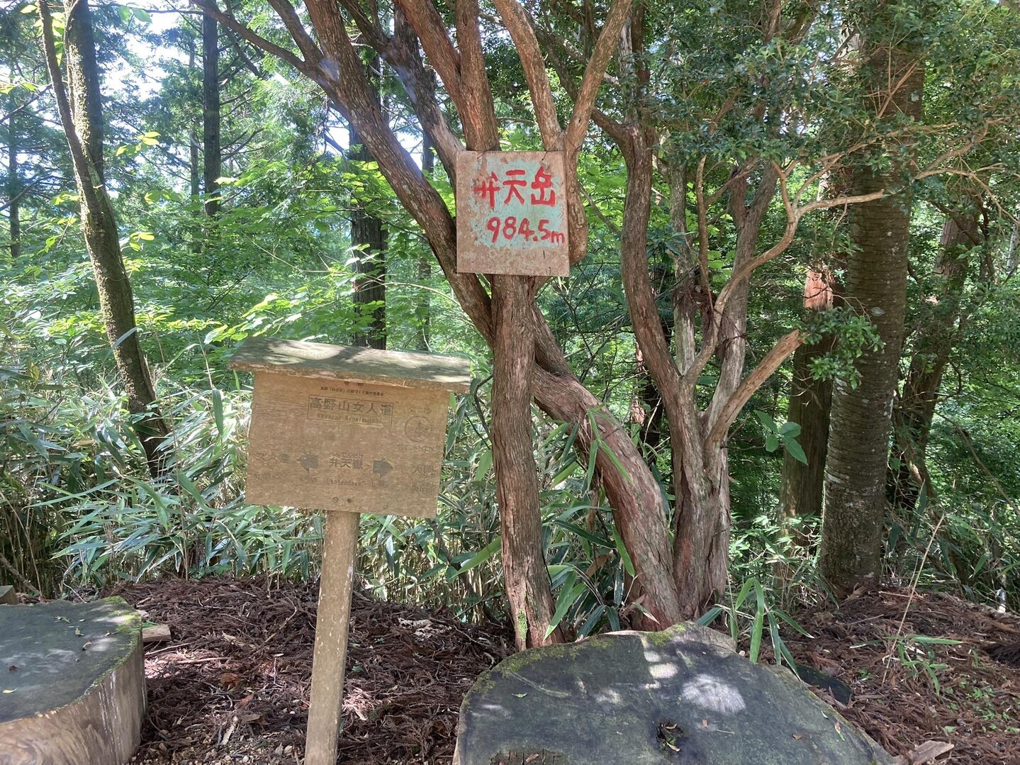 弁天岳 / jinger8さんの高野参詣道（高野山・楊柳山・雨引山）の活動データ | YAMAP / ヤマップ