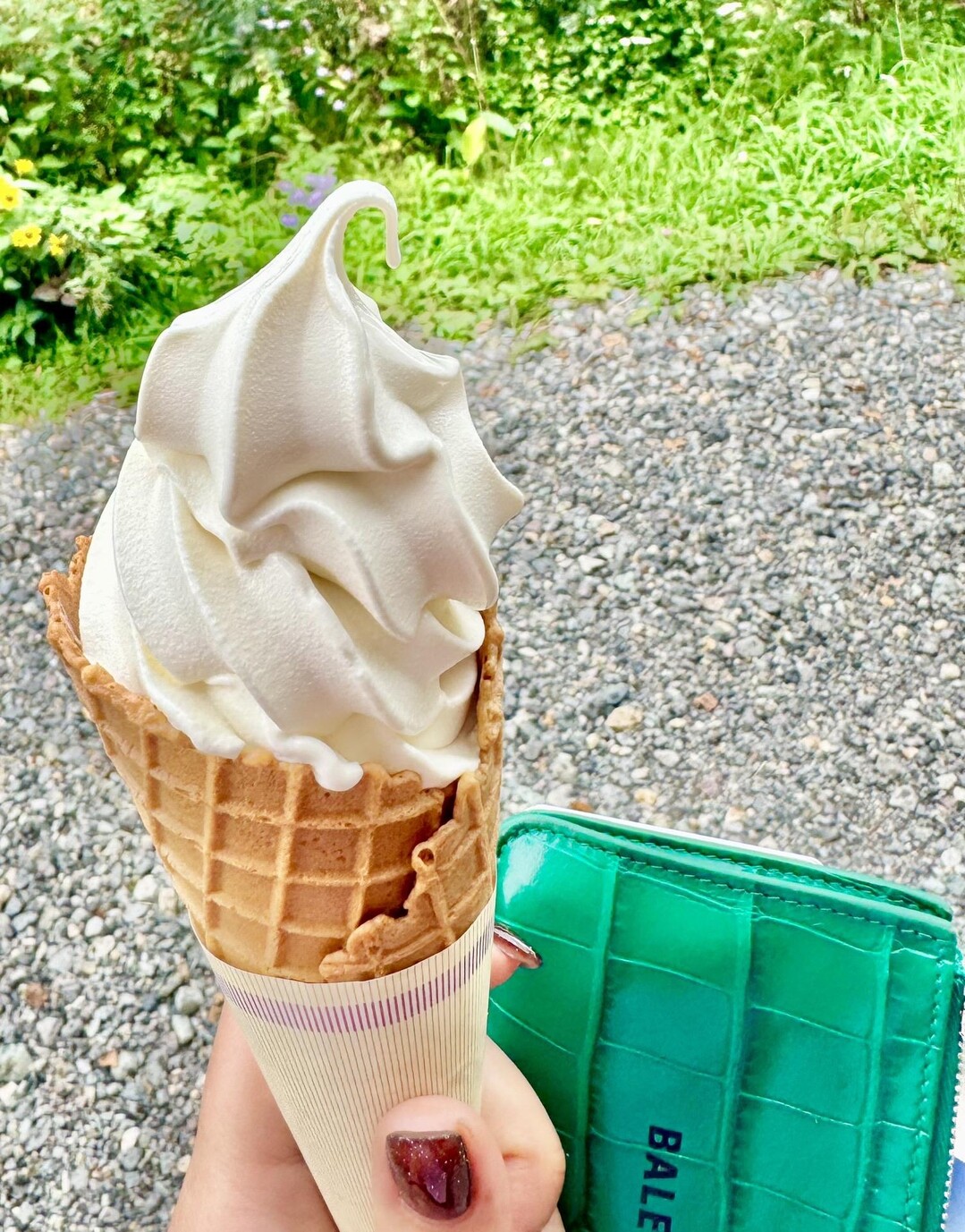 milky🍦な1日(ｺﾈｺはまたね👋) / こ。さんの四阿山・根子岳の活動データ | YAMAP / ヤマップ