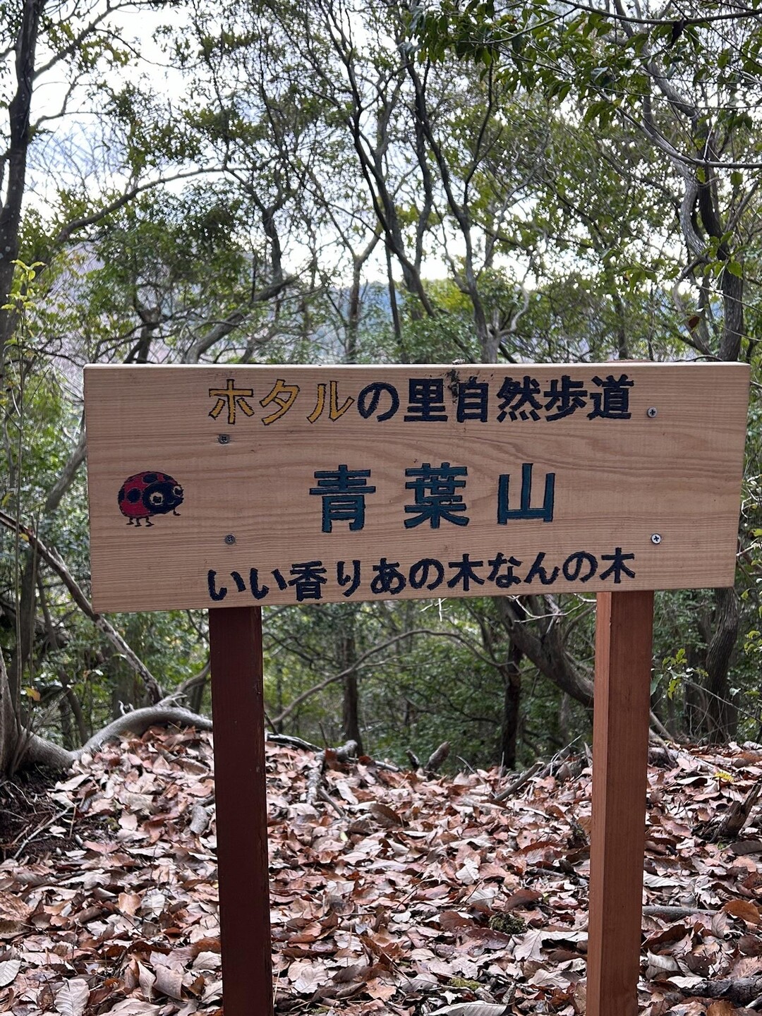 鳥川ホタルの里の山歩き①ー半分だけ / ayatonさんの額堂山・水晶山・京ヶ峯の活動データ | YAMAP / ヤマップ