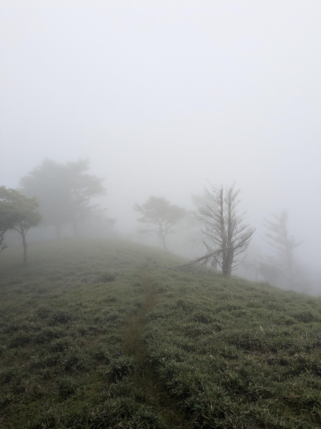 赤帽子山 / h3さんの剣山の活動データ | YAMAP / ヤマップ