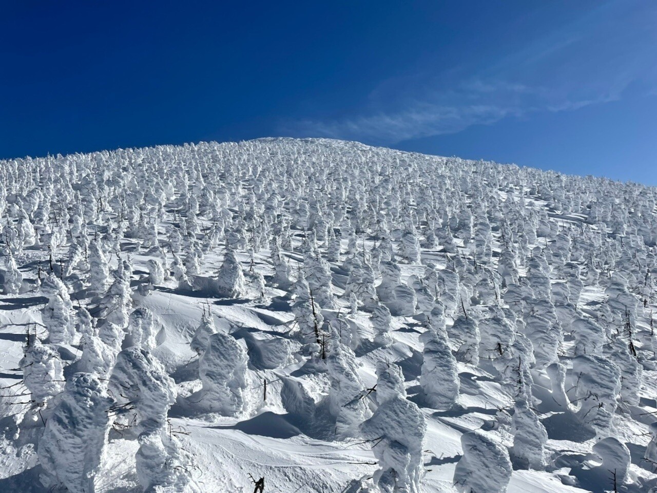 EMのページ | YAMAP / ヤマップ