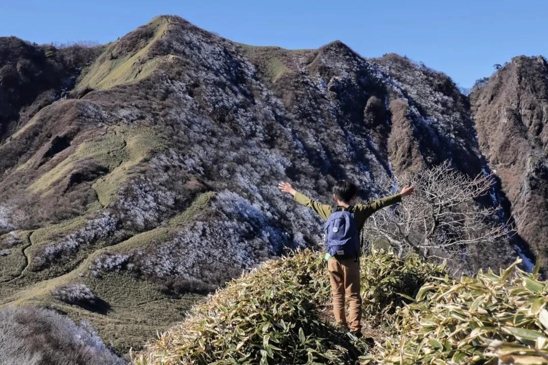 親子で伊予富士 / natuさんの笹ヶ峰・寒風山・平家平の活動データ | YAMAP / ヤマップ