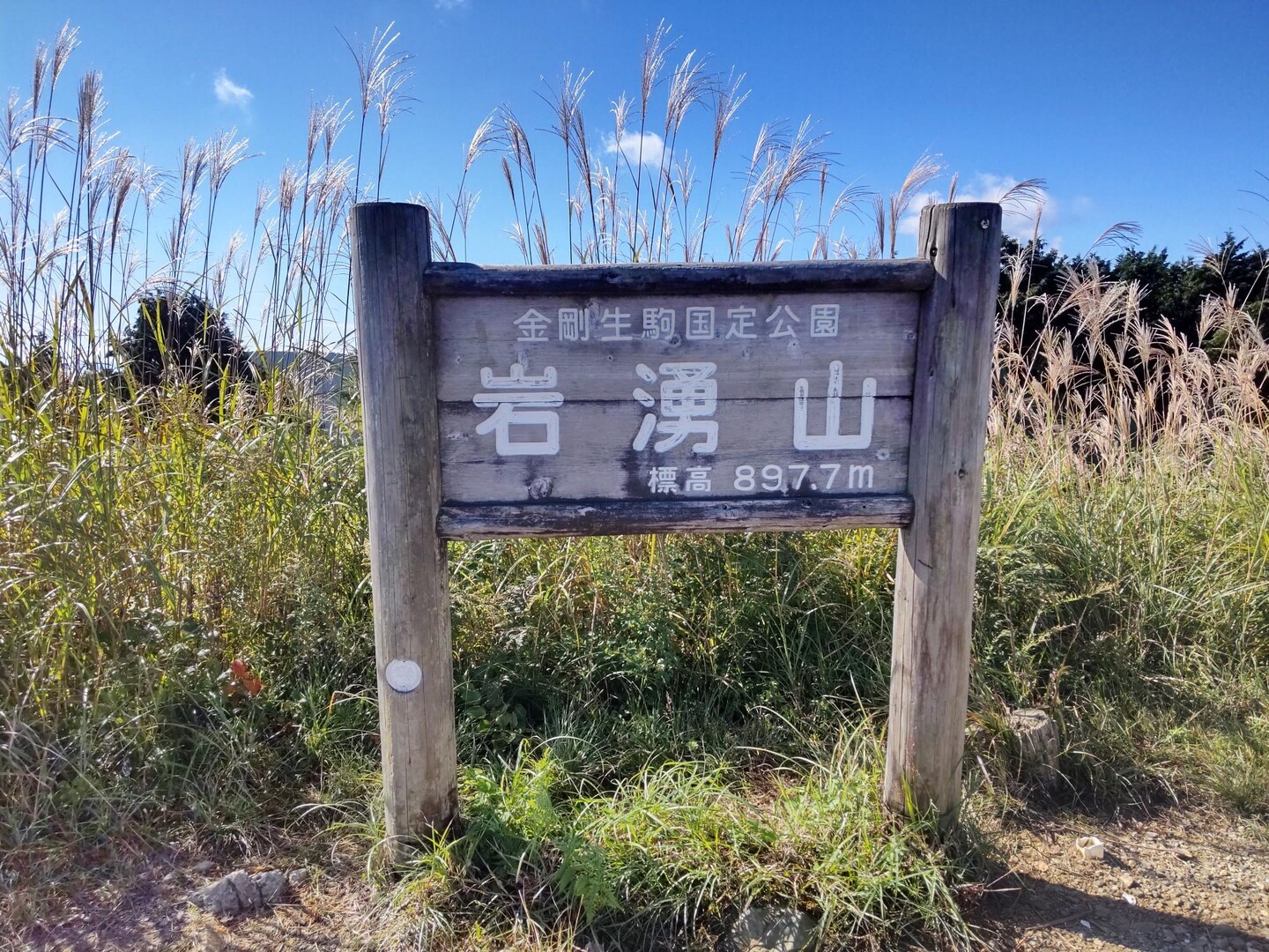 miyukyさんの投稿したフィールドメモ | YAMAP / ヤマップ