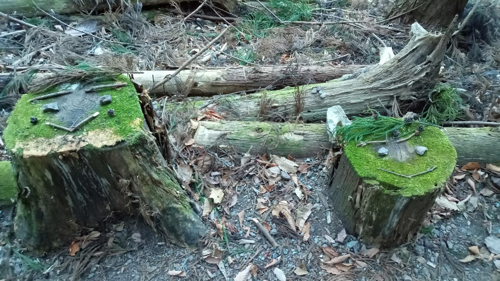 鳴神山いつもの朝山歩。 / Hiro'ismさんの鳴神山・吾妻山の活動データ | YAMAP / ヤマップ