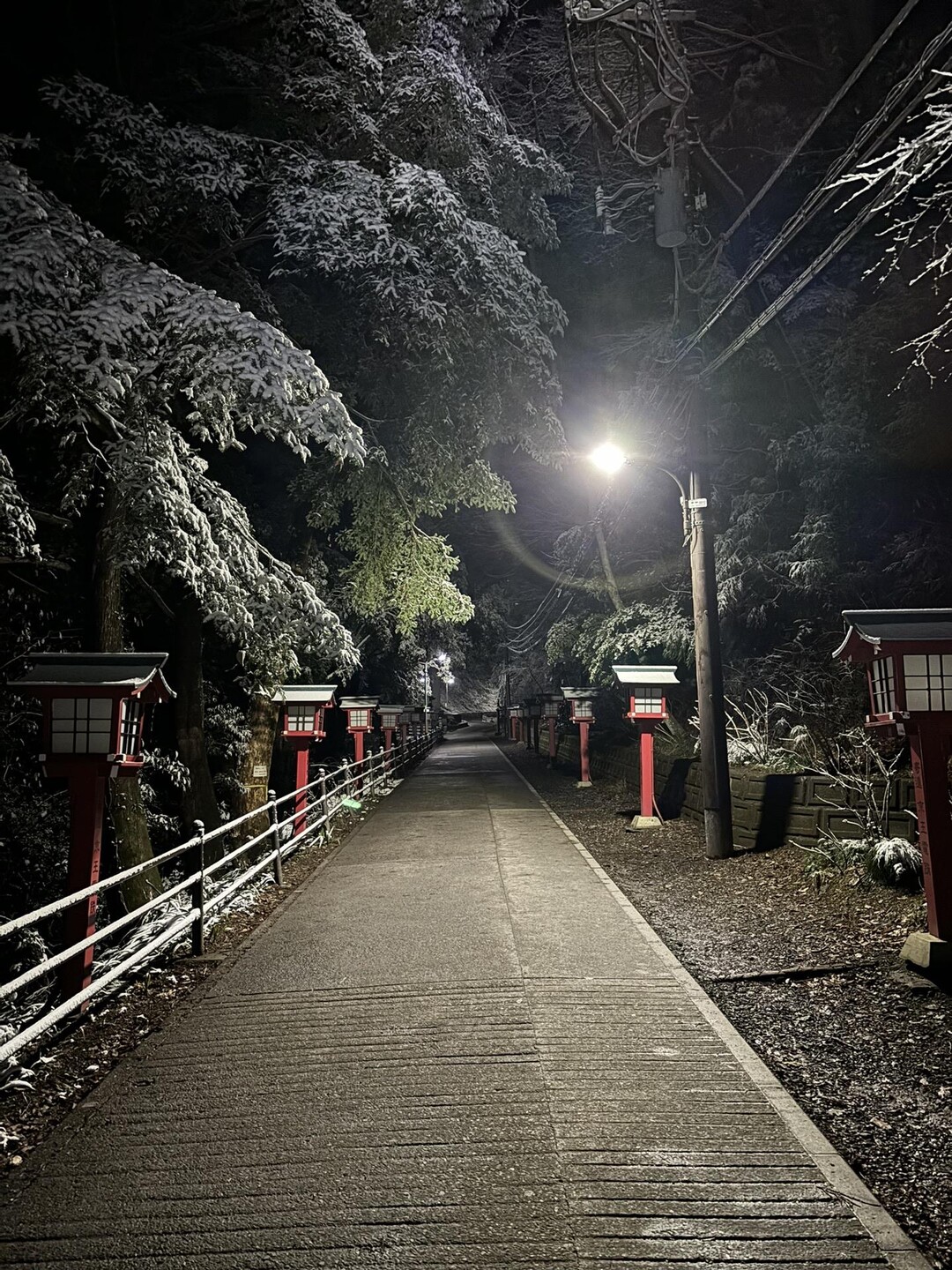 高尾山 1号路ピストン / zyさんの高尾山・陣馬山・景信山の活動データ | YAMAP / ヤマップ