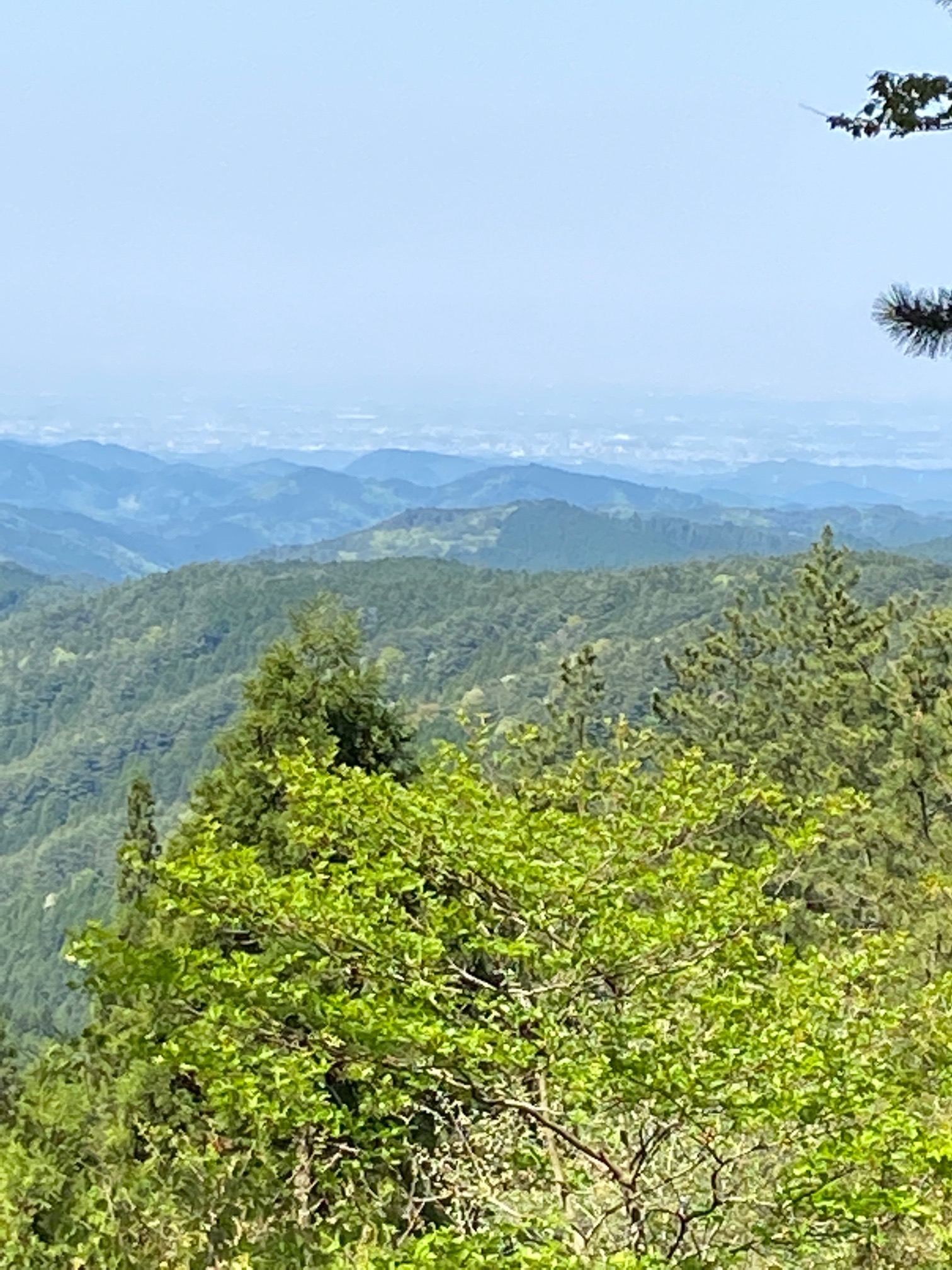 平日山歩部⛰MKさんの投稿したフィールドメモ | YAMAP / ヤマップ