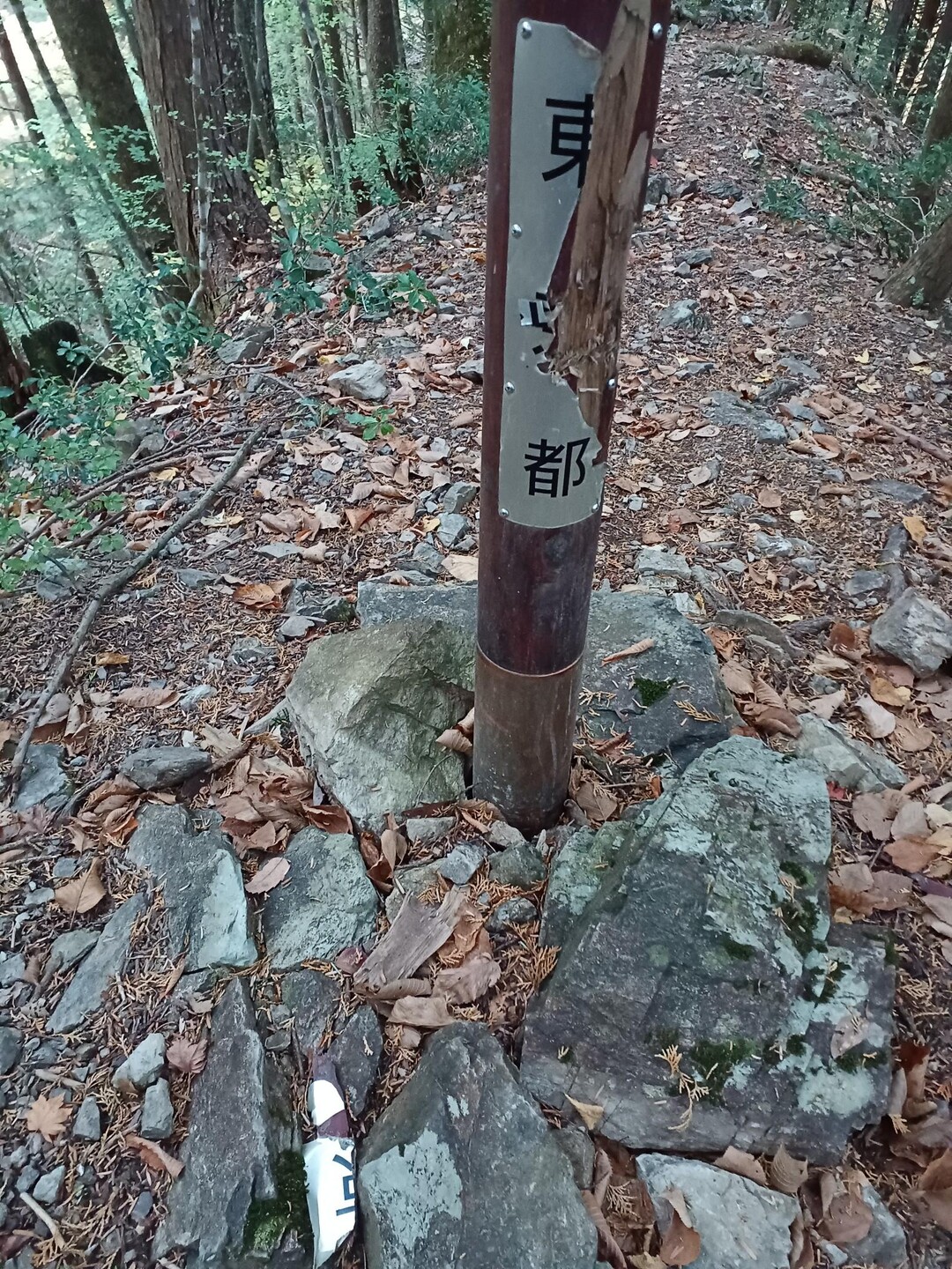 spesさんの投稿したフィールドメモ | YAMAP / ヤマップ