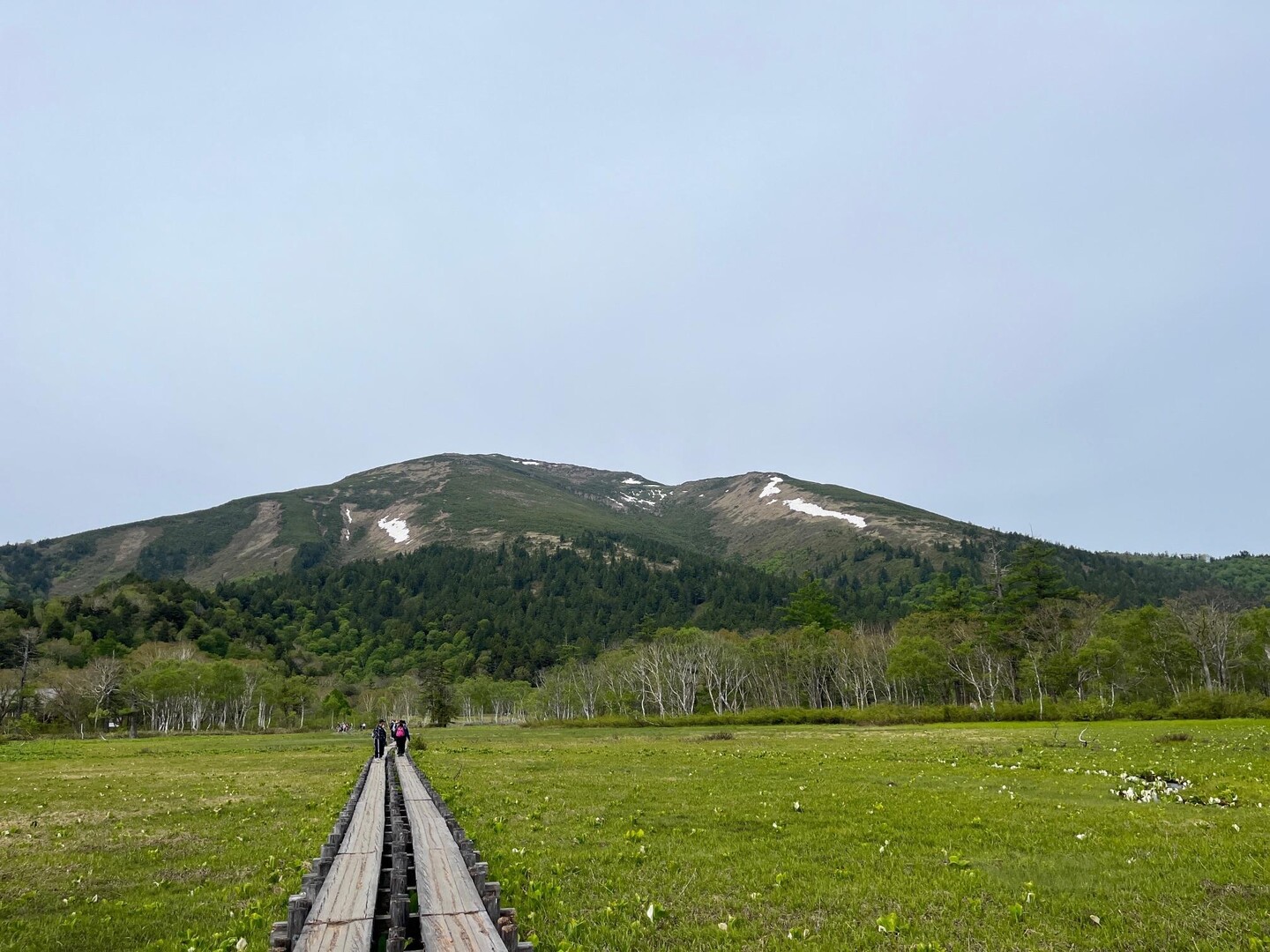 初めての尾瀬ヶ原散策 / yutayutaさんの尾瀬・燧ヶ岳の活動データ | YAMAP / ヤマップ