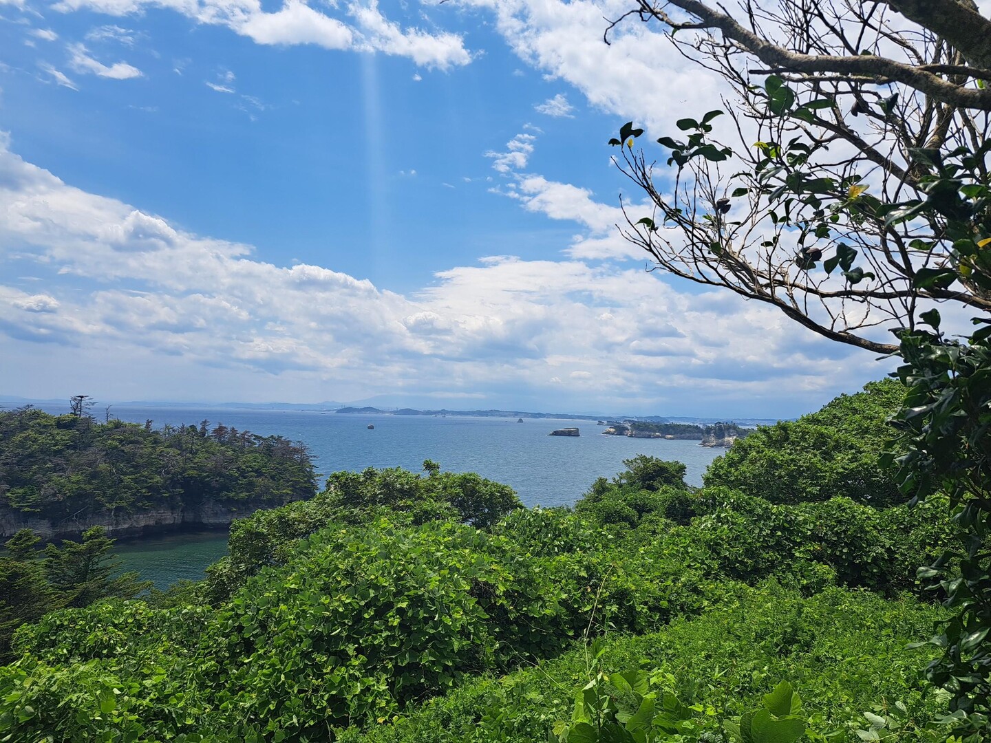 晴れを求め暑すぎた🔥 / Ku-minさんの宮城オルレ 奥松島コースの活動データ | YAMAP / ヤマップ