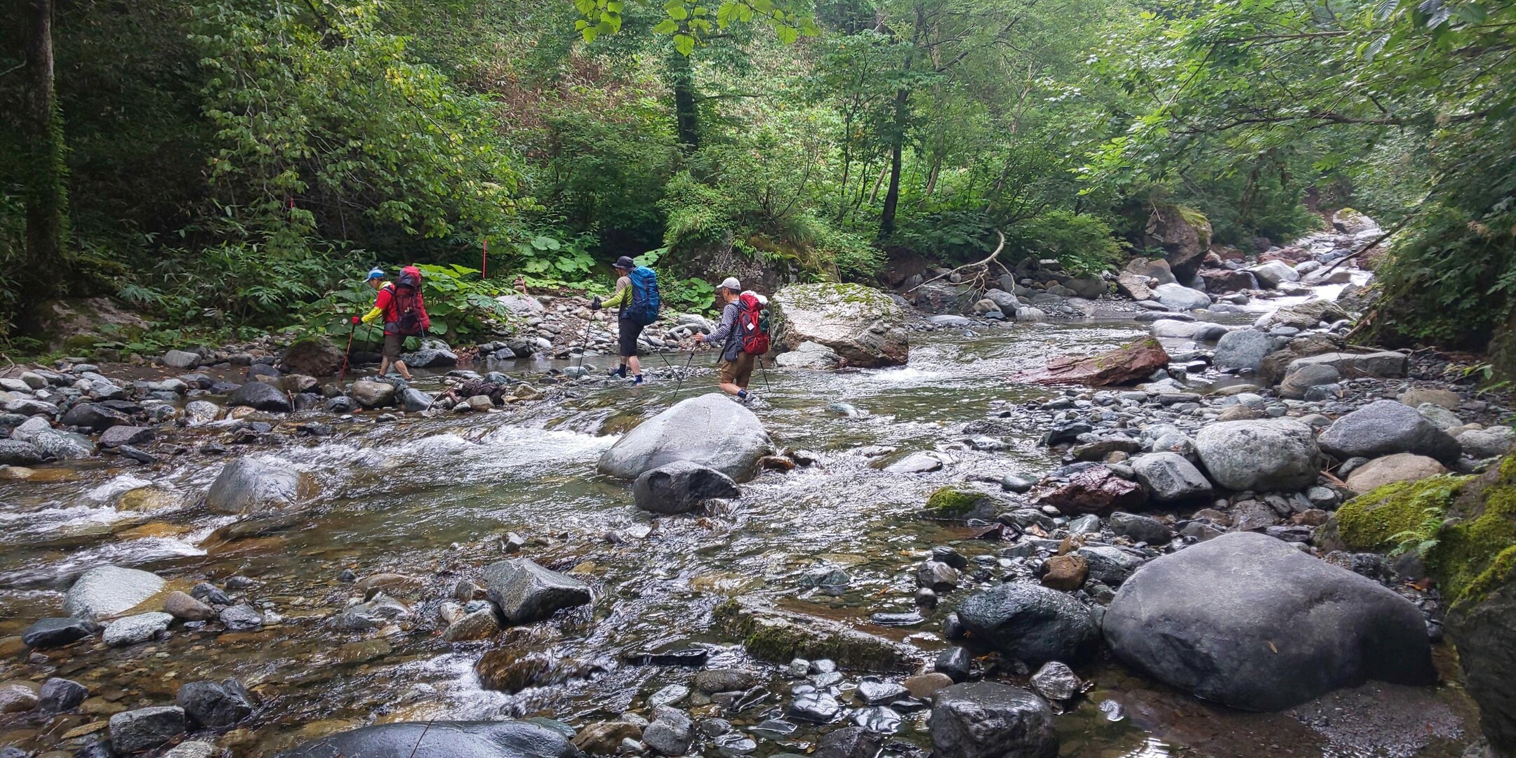 幌尻岳 / k339さんの幌尻岳・戸蔦別岳・伏美岳の活動データ | YAMAP / ヤマップ