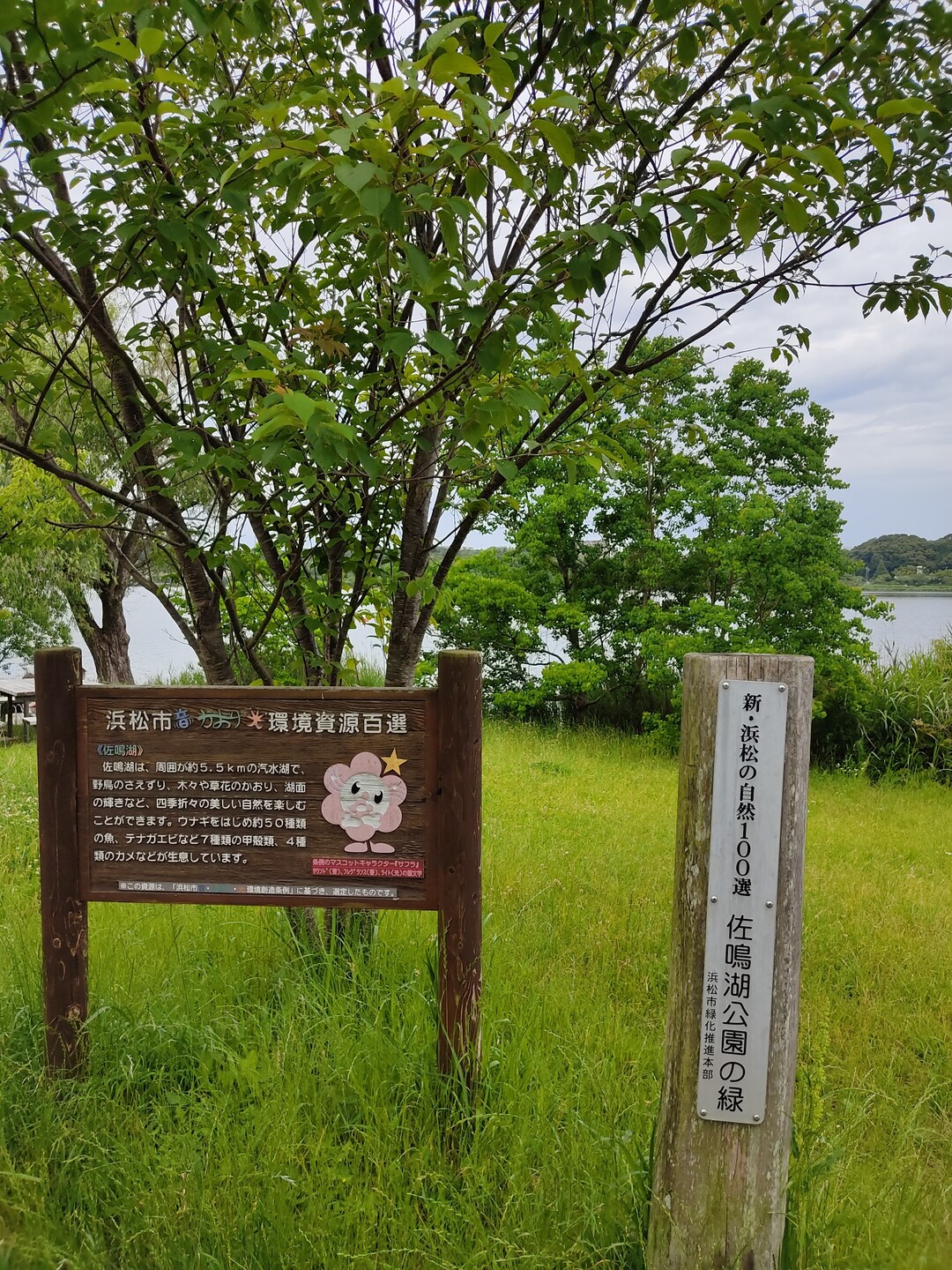 根川山と佐鳴湖一周ラン / ATSUさんさんの浜松市（中区・東区・南区・西区）の活動データ | YAMAP / ヤマップ