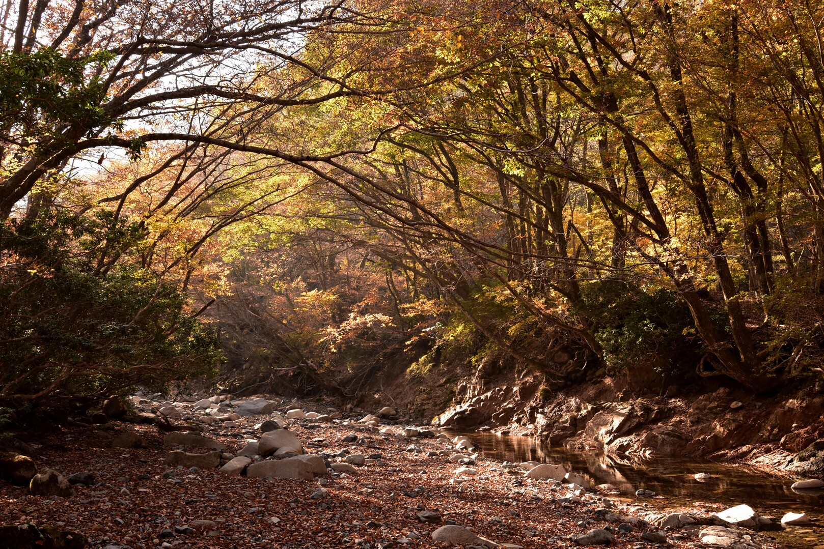 ハライド〜青岳〜国見岳、そして上高地🍁(鈴鹿の) / kunitaroさんの御在所岳（御在所山）・雨乞岳の活動データ | YAMAP / ヤマップ