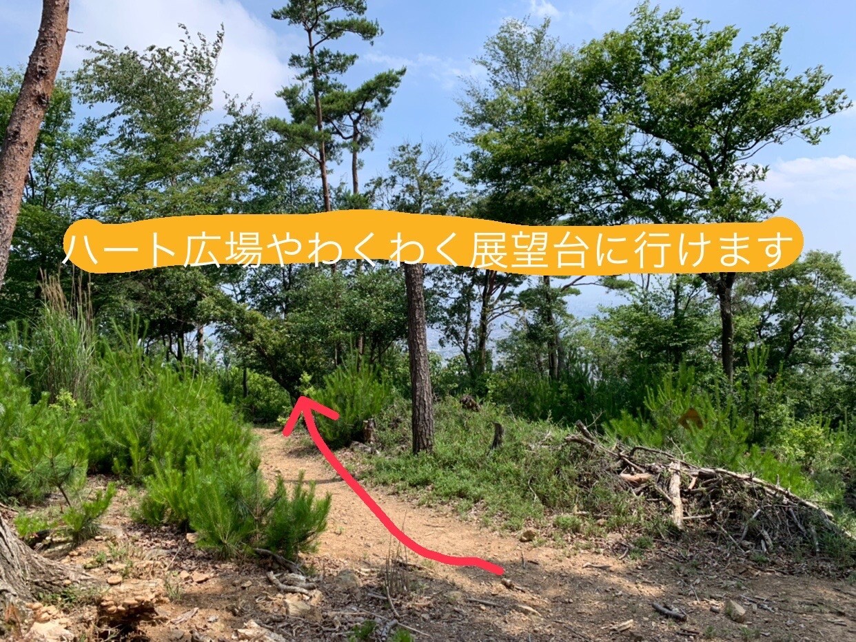 ERlii*さんの投稿したフィールドメモ | YAMAP / ヤマップ