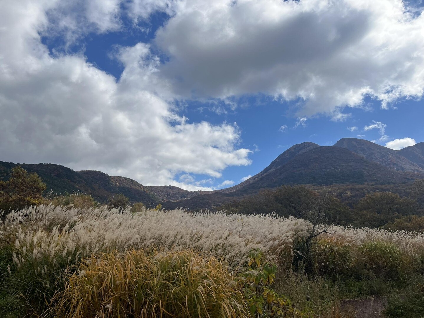 九州遠征Day2.3 大船山・北大船山・白口岳・稲星山・中岳・天狗ヶ城・久住山 / まりさんの九重山（久住山）・大船山・星生山の活動データ | YAMAP / ヤマップ