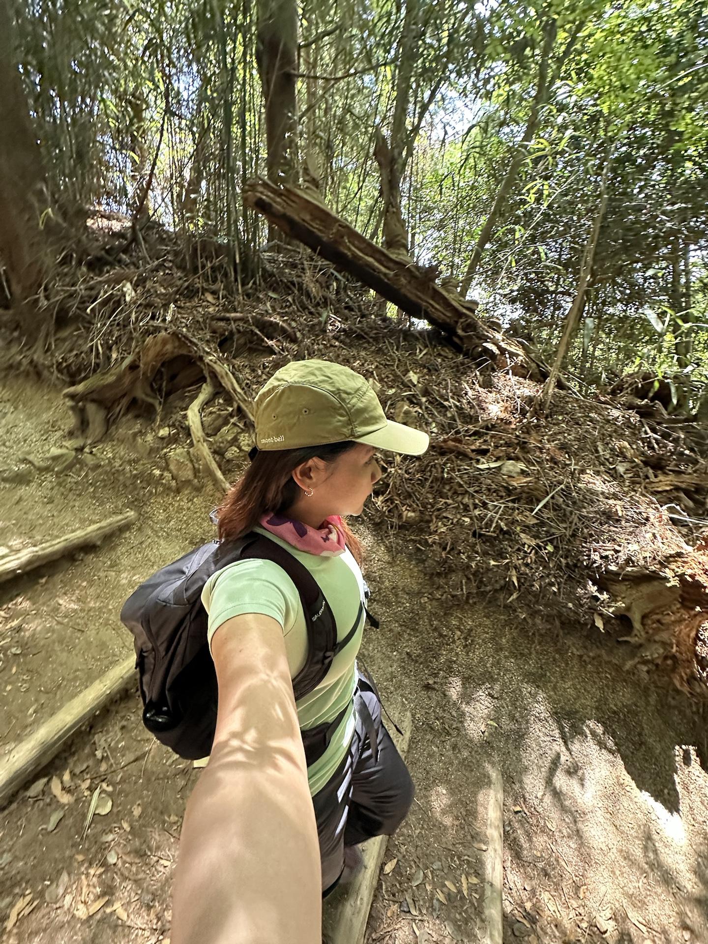 猿投山 / Reizl (レイ)さんのウォーキングの活動データ | YAMAP / ヤマップ