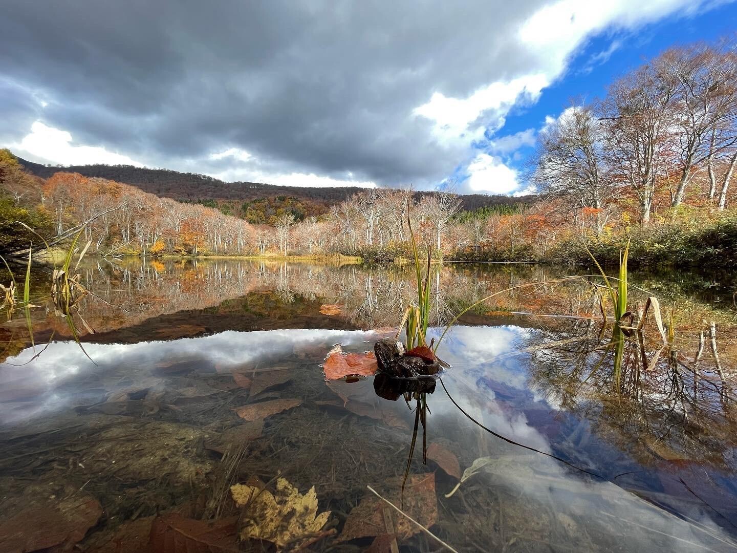 新蕎麦も兼ねて月山麓の地蔵沼まで紅葉狩り... / lily crankyさんのモーメント | YAMAP / ヤマップ