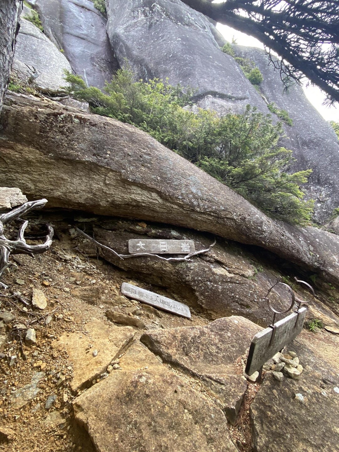 Moonkeyさんの投稿したフィールドメモ | YAMAP / ヤマップ