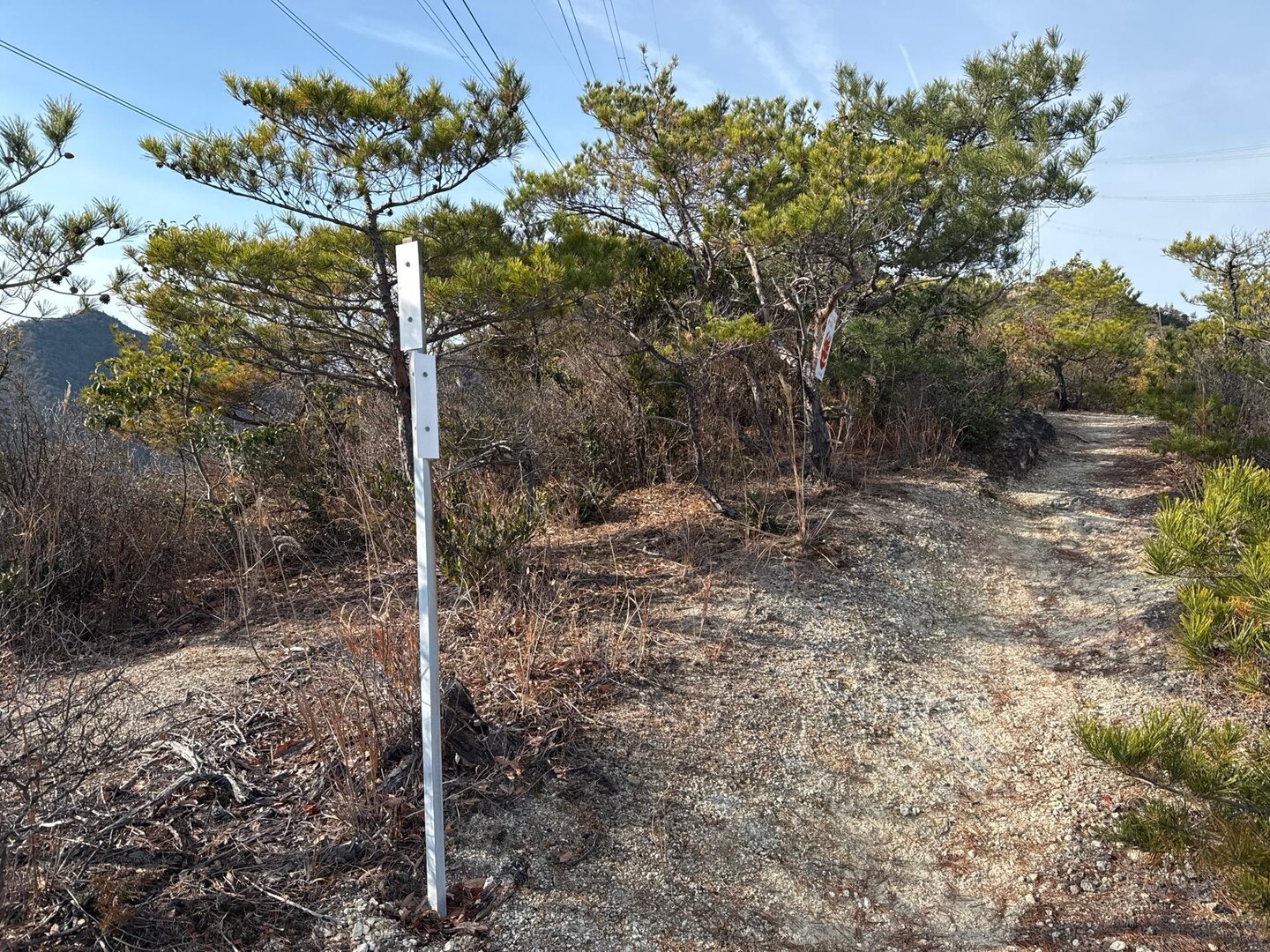 manabossさんの投稿したフィールドメモ | YAMAP / ヤマップ