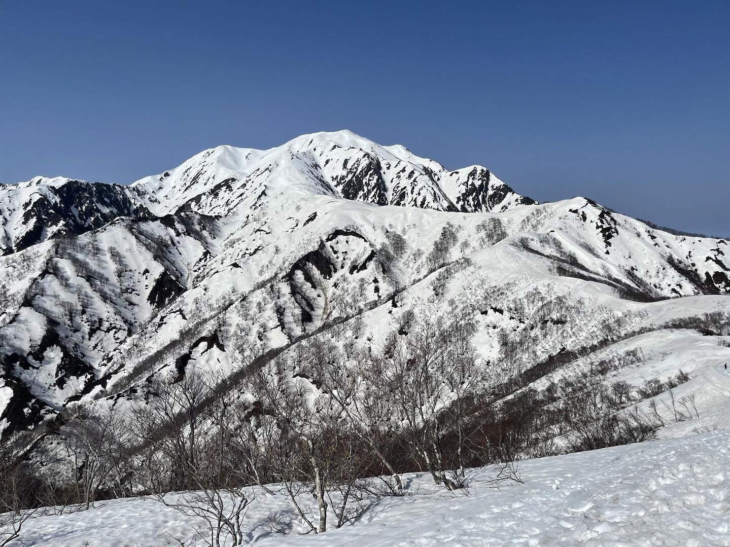 越後駒ヶ岳 / marioさんの越後駒ヶ岳・八海山・荒沢岳の活動データ | YAMAP / ヤマップ