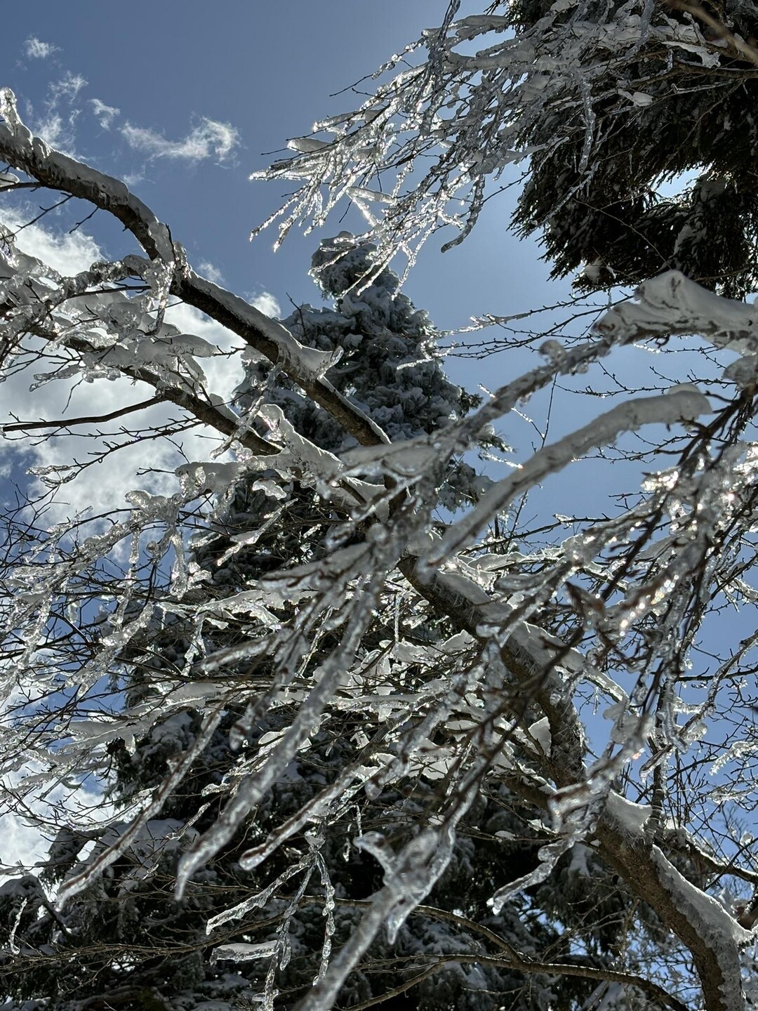今年、お初の大山 / chikaさんの大山の活動データ | YAMAP / ヤマップ