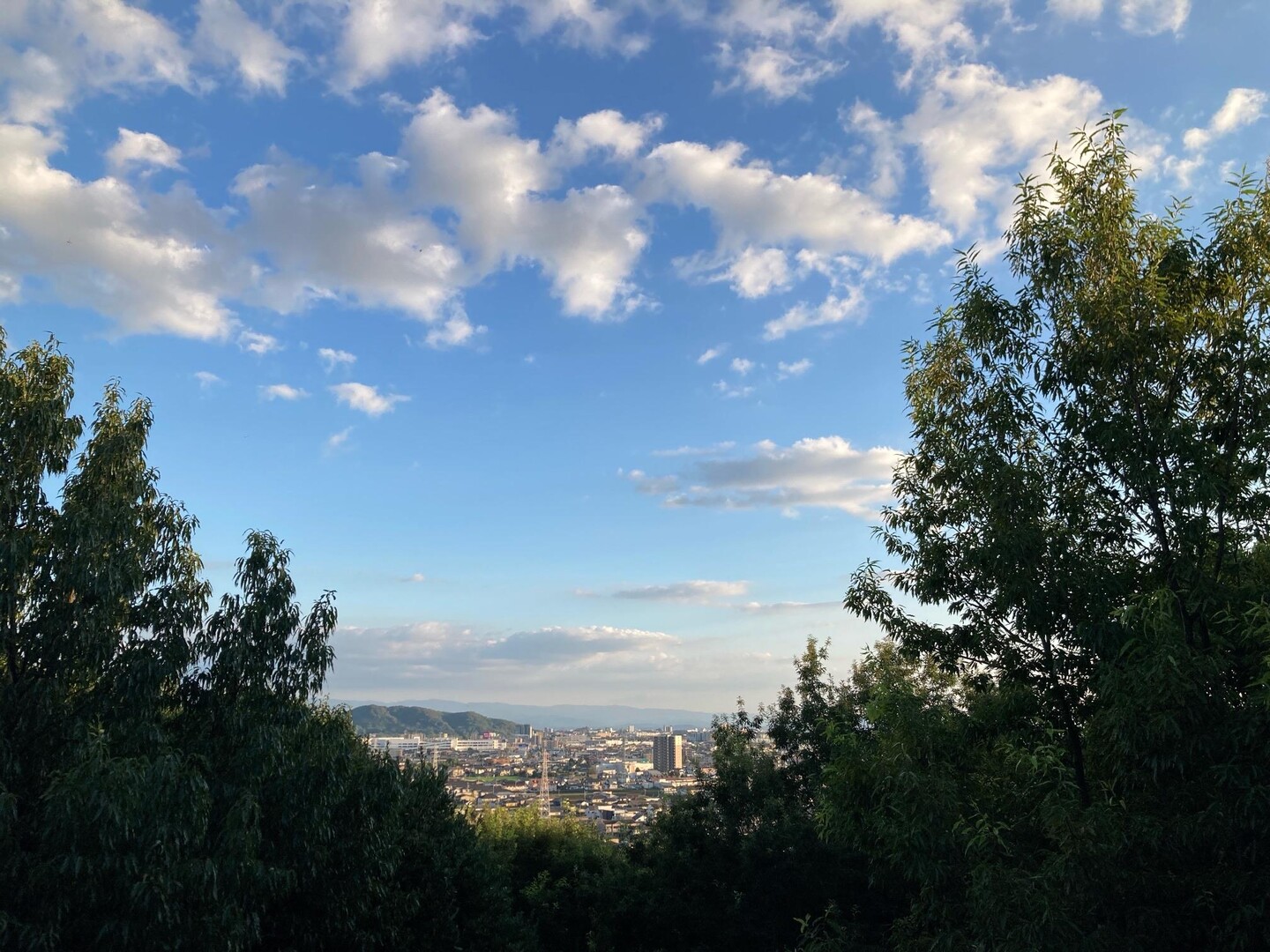 飯高山 / SHINYAさんの合志市の活動データ | YAMAP / ヤマップ