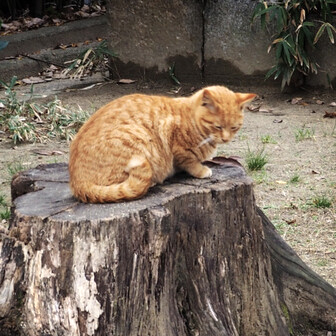 mu-3のページ | YAMAP / ヤマップ