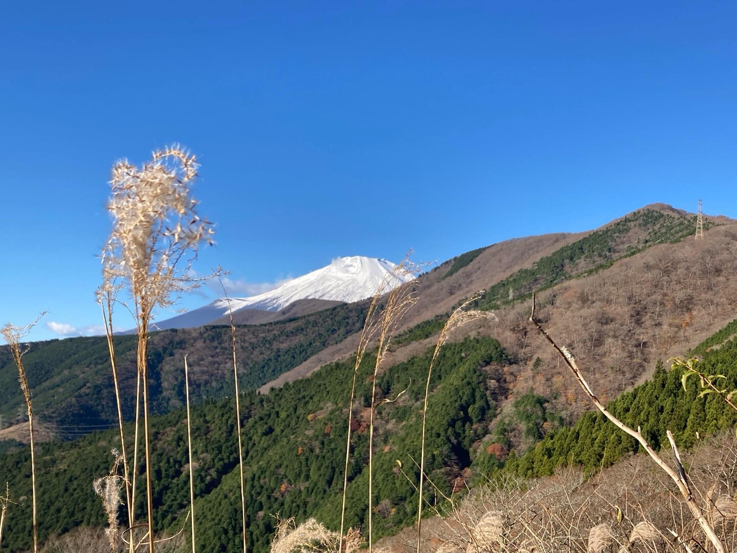 五丈Joさんの投稿したフィールドメモ | YAMAP / ヤマップ