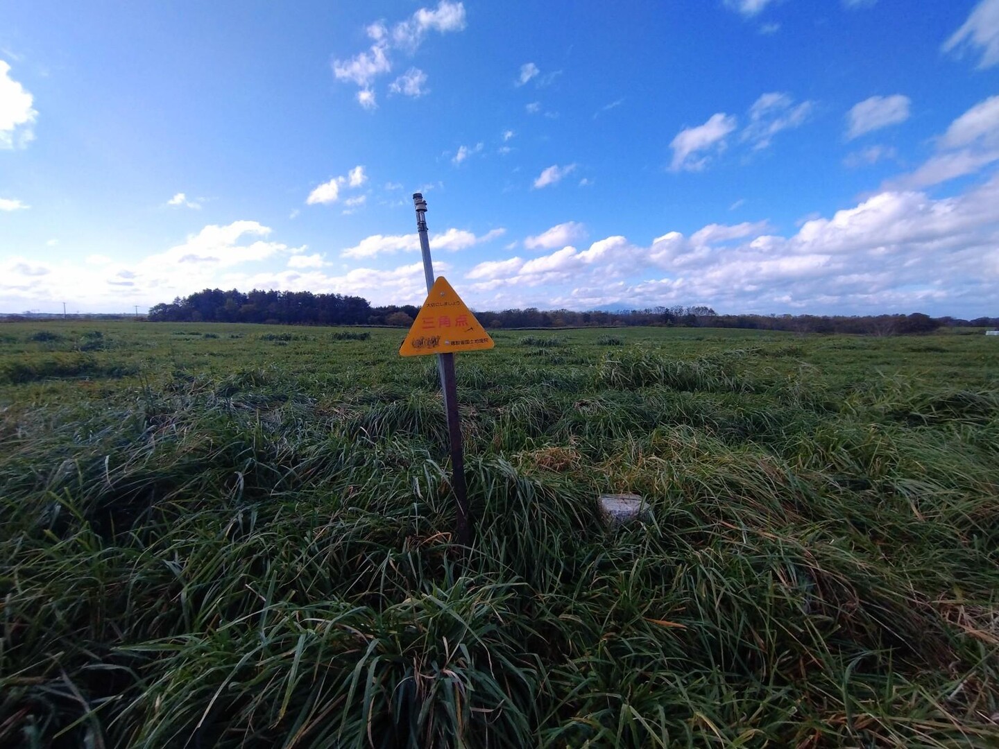 近所の山は北海道最低峰 / RYOTAさんのサロベツ湿原の活動データ | YAMAP / ヤマップ