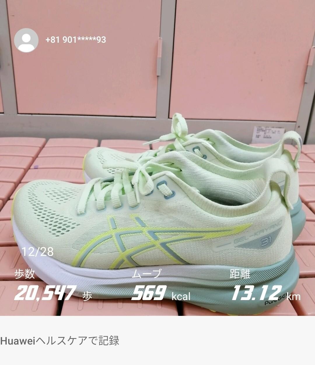 ふくい健康の森 70分 LSD 室... / うろちょろさんのモーメント | YAMAP / ヤマップ