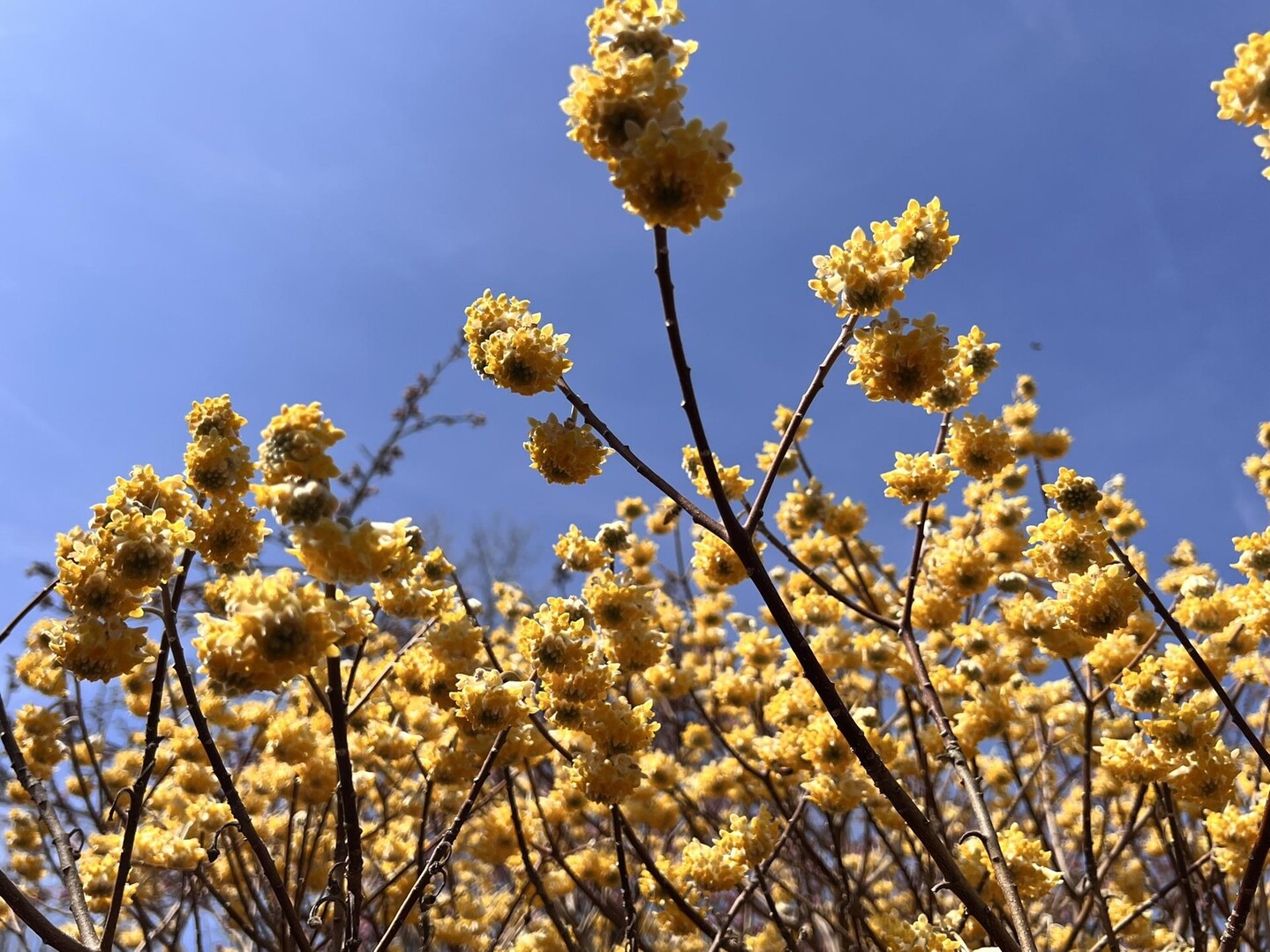 韮神山・上野山・羽山 / ymatさんの羽山の活動データ | YAMAP / ヤマップ