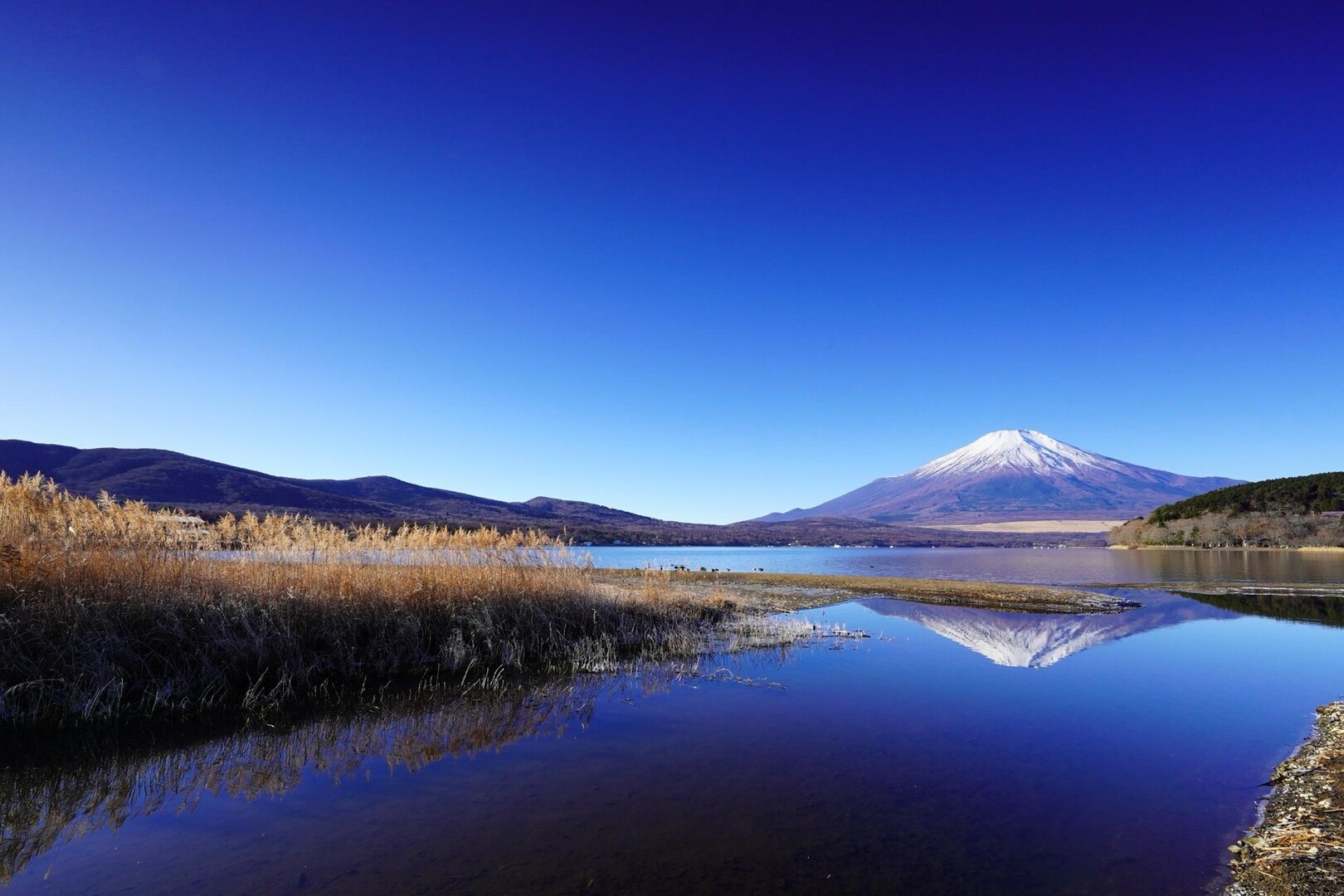 山中湖パノラマ台と平野、河口湖大石公園を... / uchidamaさんのモーメント | YAMAP / ヤマップ