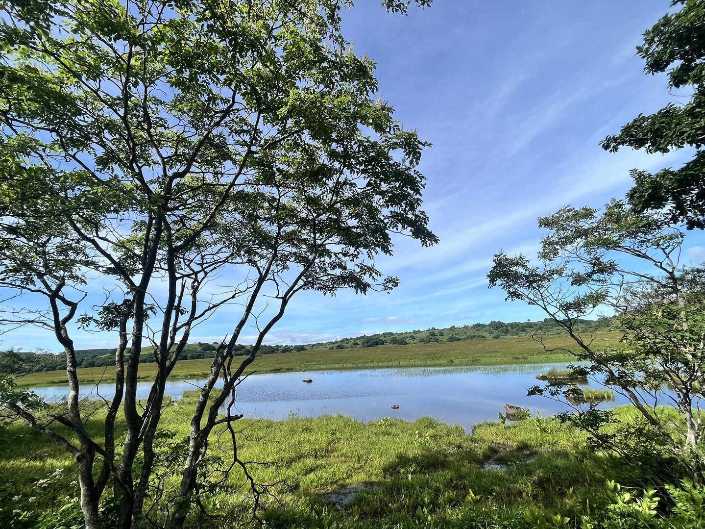 八島湿原よりボルシチへ🐾 / hachacha-umemeさんの霧ヶ峰・車山・大笹峰の活動データ | YAMAP / ヤマップ