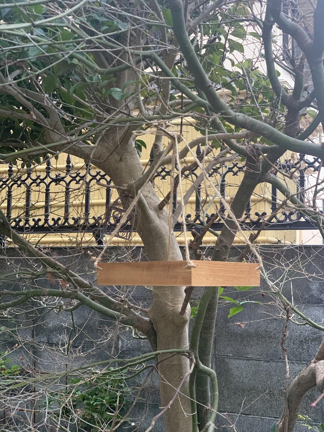 2月1日（土） 2月は逃（2）げる 油... / rokoさんのモーメント | YAMAP / ヤマップ