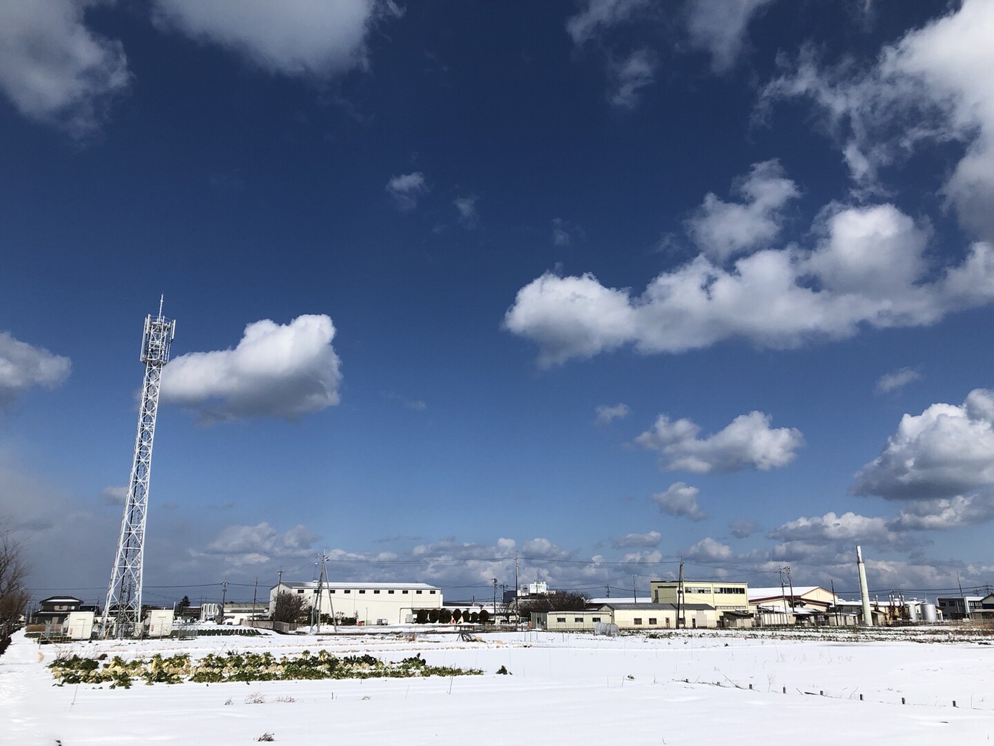 ︎休日のお散歩🚶‍♂️ ︎ 雪 ️... / 💖🐰Roco🐰💖さんのモーメント | YAMAP / ヤマップ