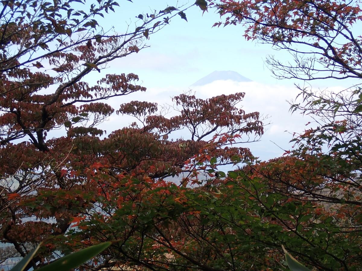 箱根駒ケ岳 / kumomaさんの箱根山・神山の活動日記 | YAMAP / ヤマップ