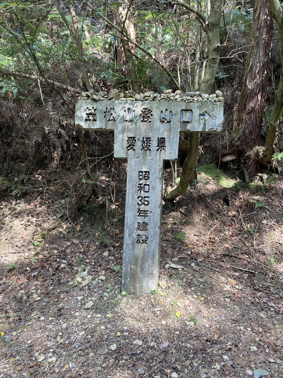 笠松山・世田山、おかわり永納山 / smileさんの笠松山の活動データ | YAMAP / ヤマップ