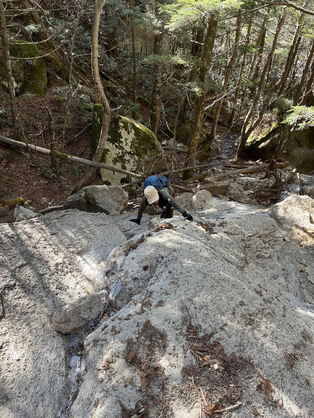 SAYAKAさんの投稿したフィールドメモ | YAMAP / ヤマップ