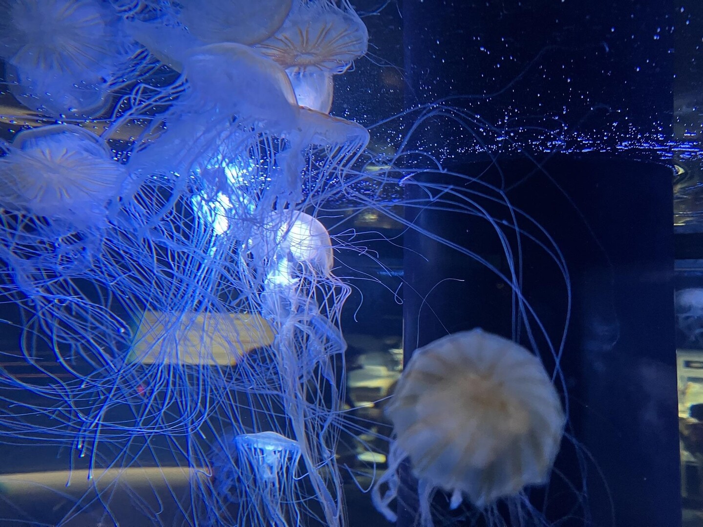 2023年、夏‼️最後のおじちゃん活動は... / Naluさんのモーメント | YAMAP / ヤマップ