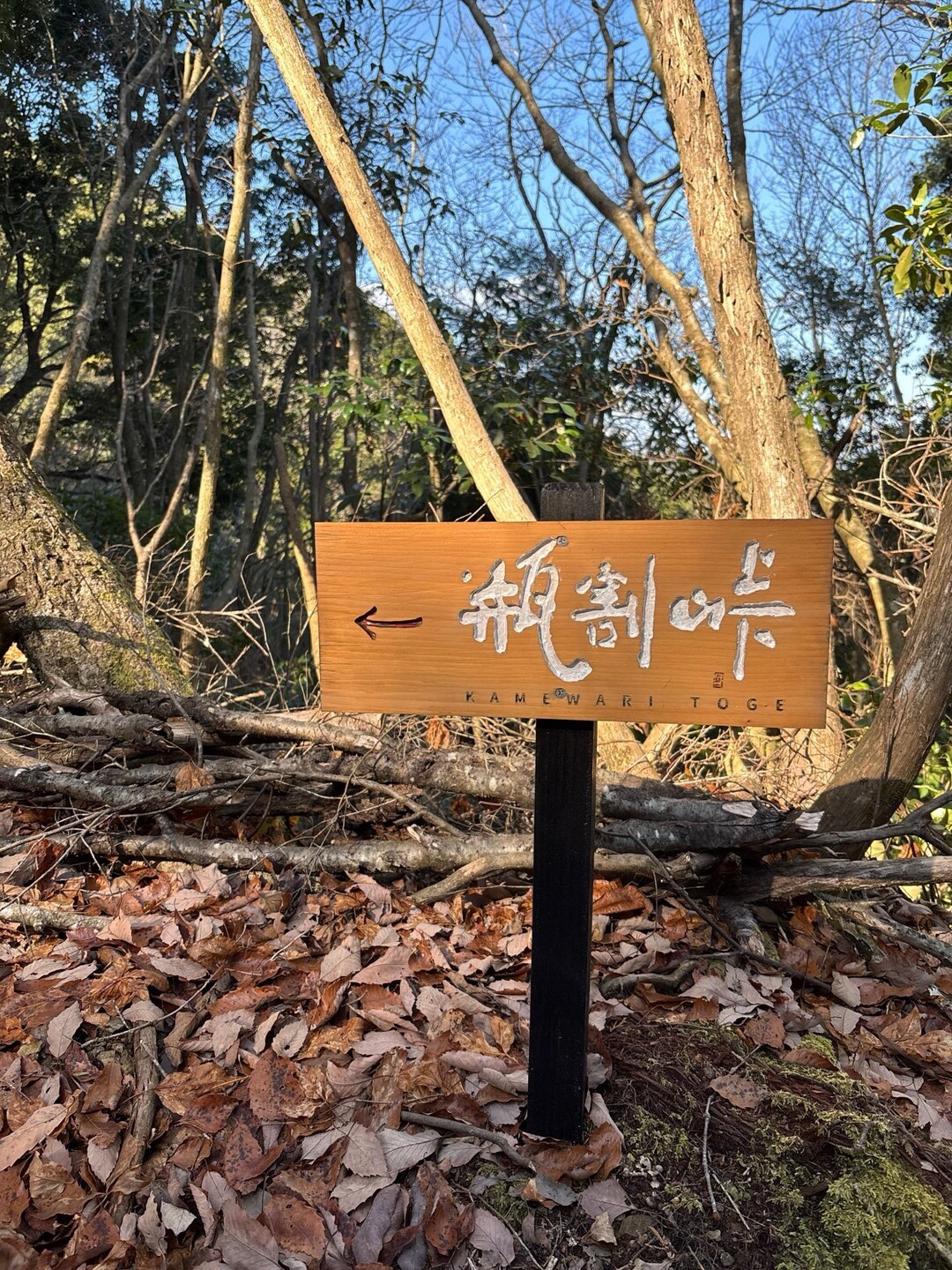 金山〜瓶割峠〜国領 2025.1.2 / シンさんの金山の活動日記 | YAMAP / ヤマップ