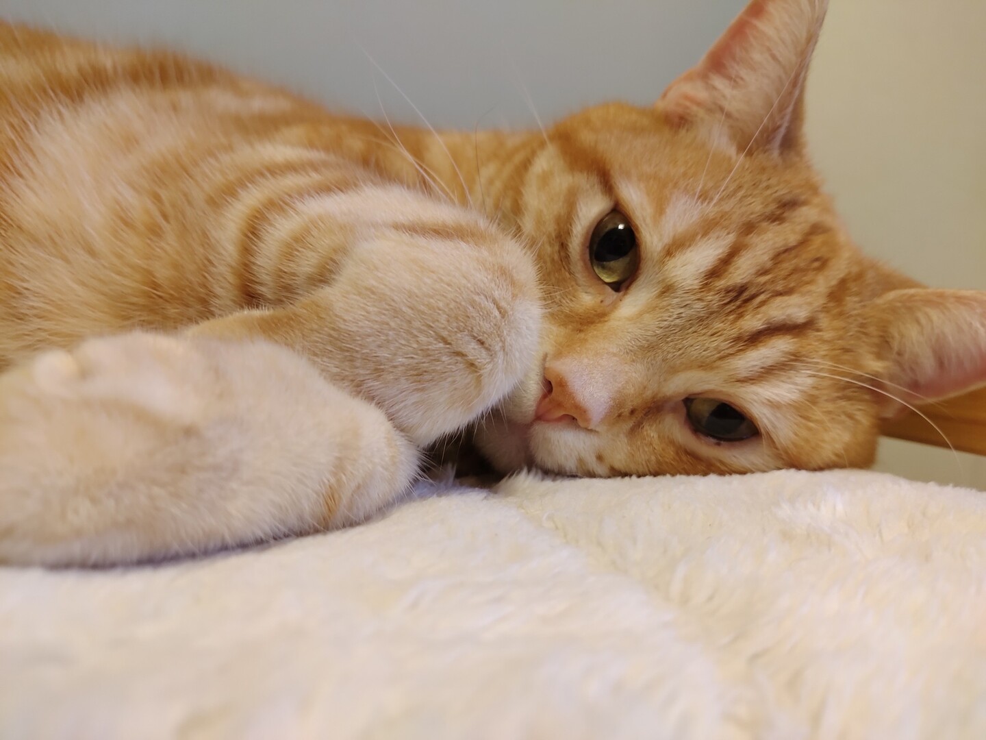 kummyのページ | YAMAP / ヤマップ