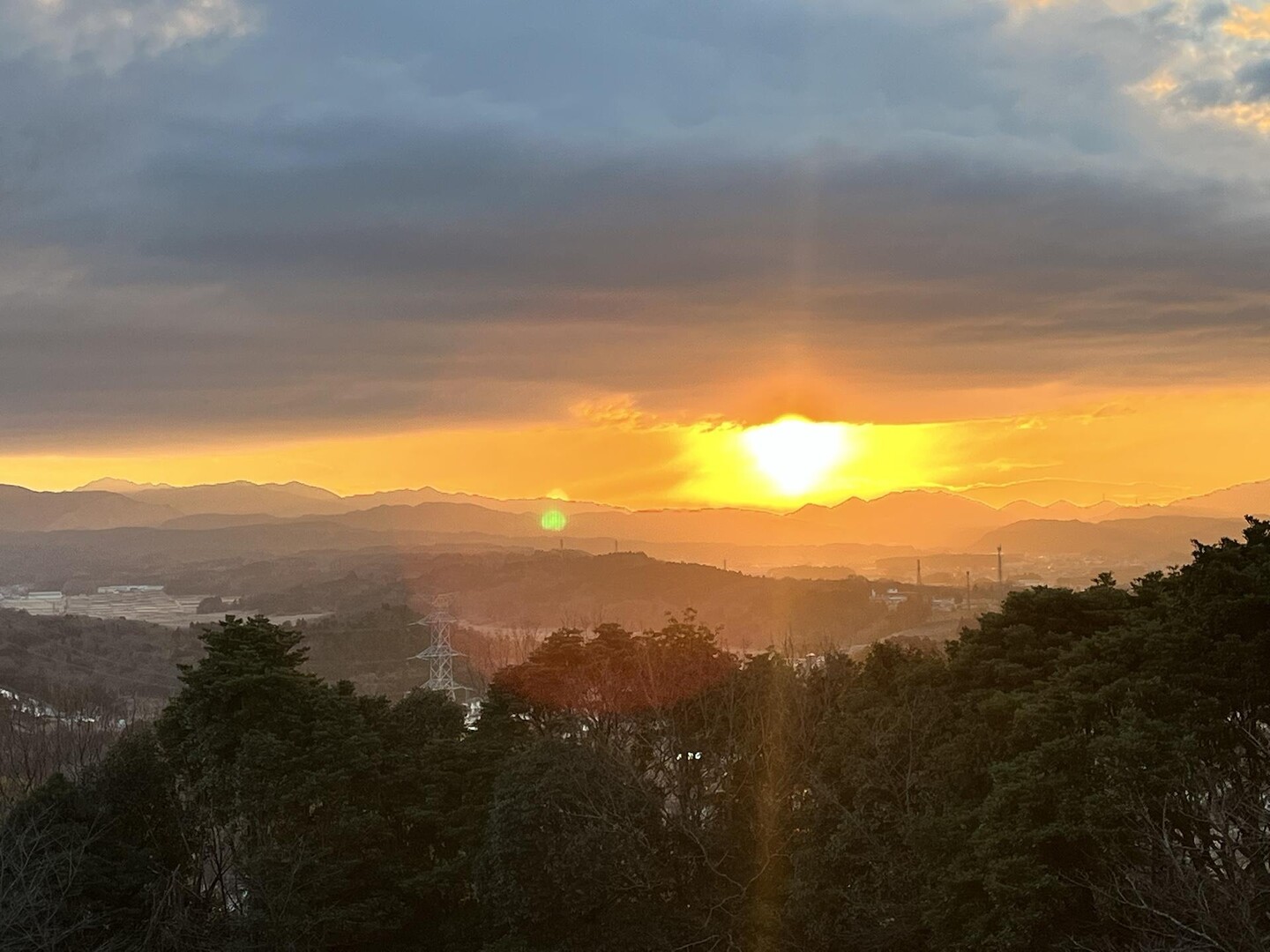 古城山294 / ときおあさんの飯道山の活動日記 | YAMAP / ヤマップ